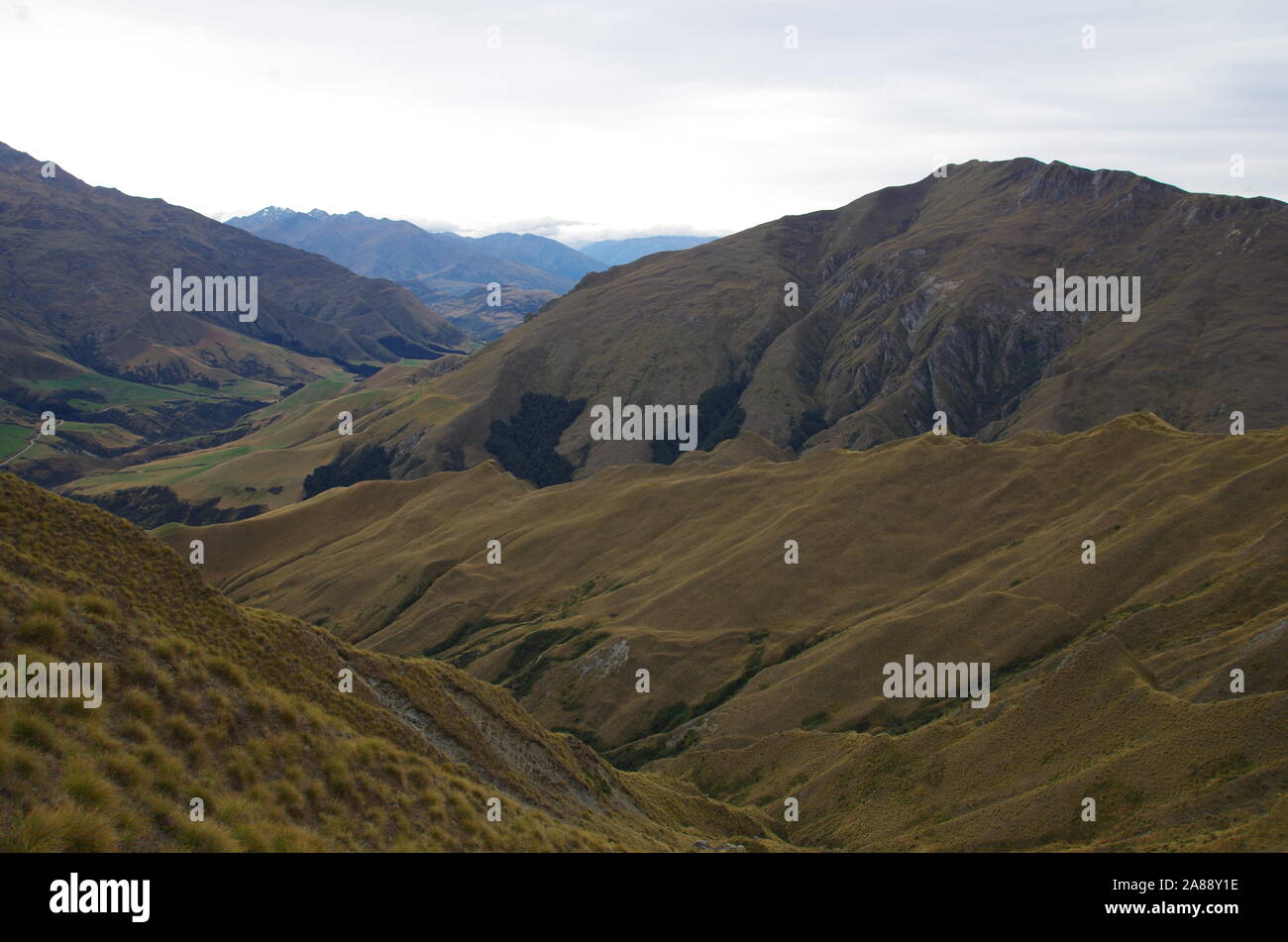 Te Araroa Trail. Motatapu Alpine Track. South Island. New Zealand Stock ...
