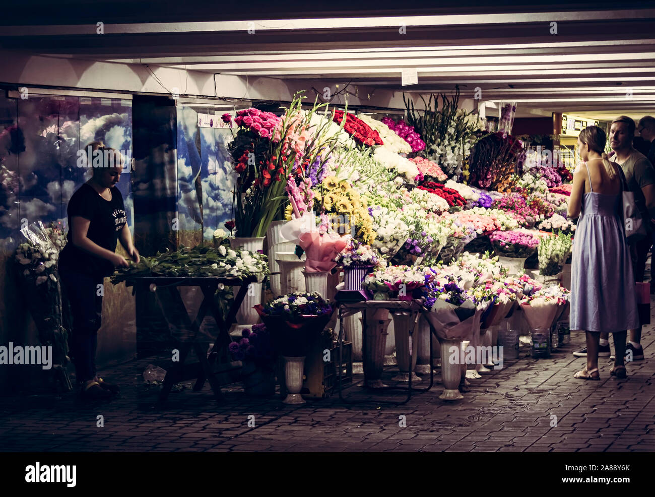 Underground flora hi-res stock photography and images - Alamy