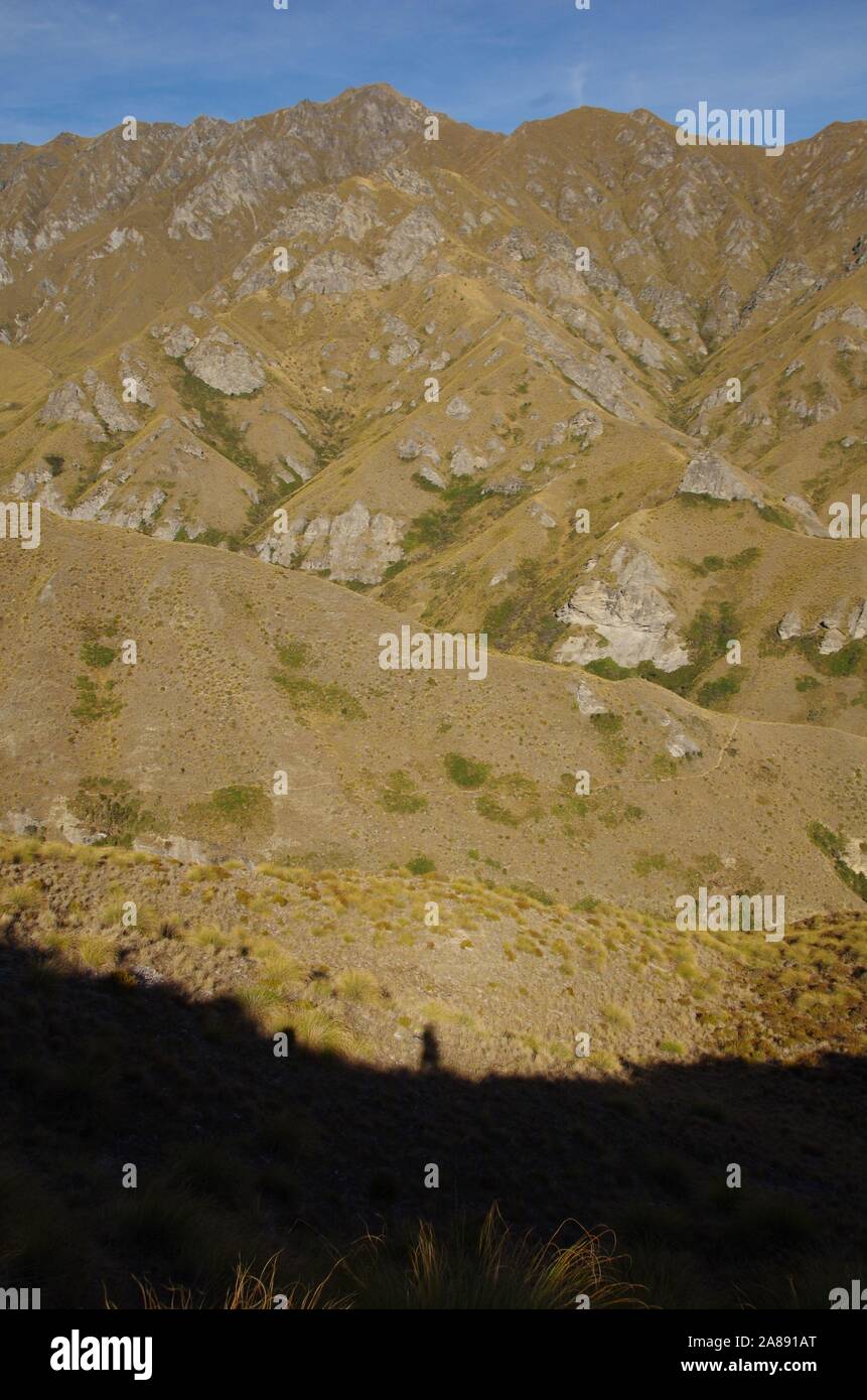 Te Araroa Trail. Motatapu Alpine Track. South Island. New Zealand Stock ...