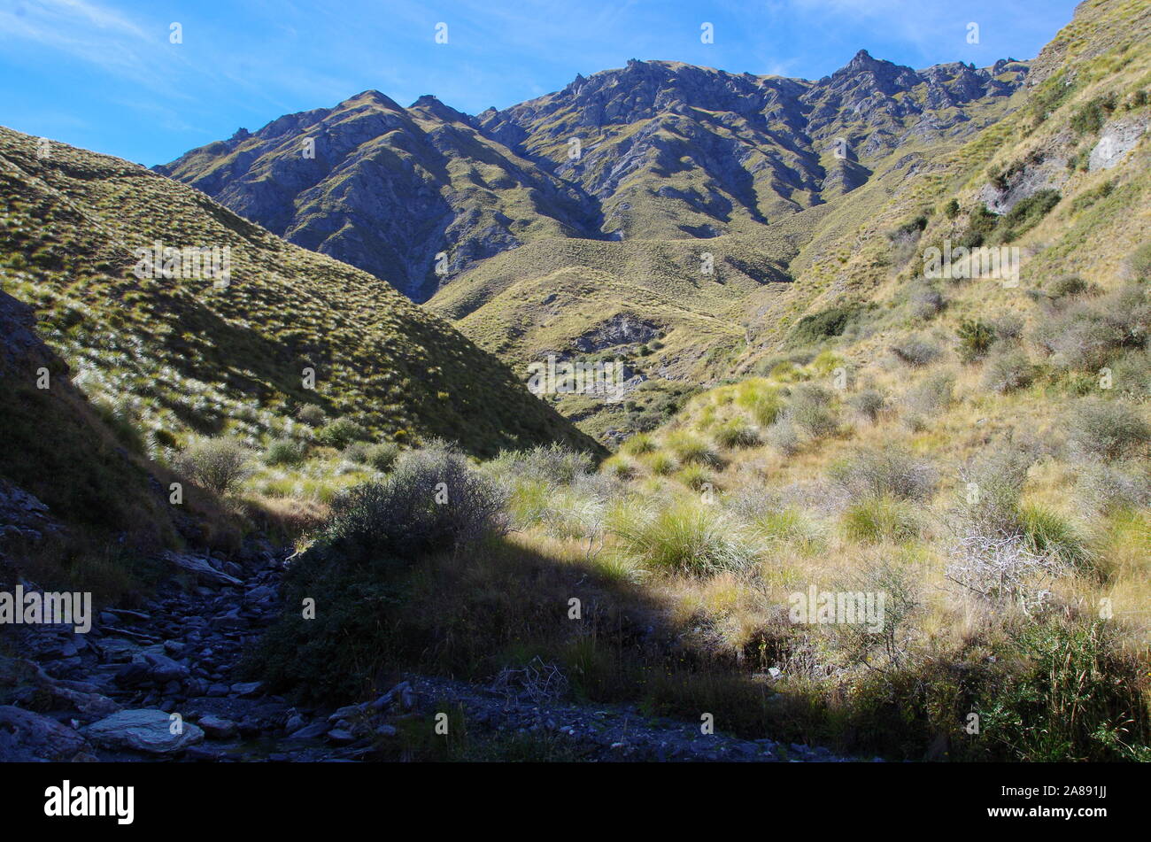 Motatapu track new zealand hi-res stock photography and images - Alamy