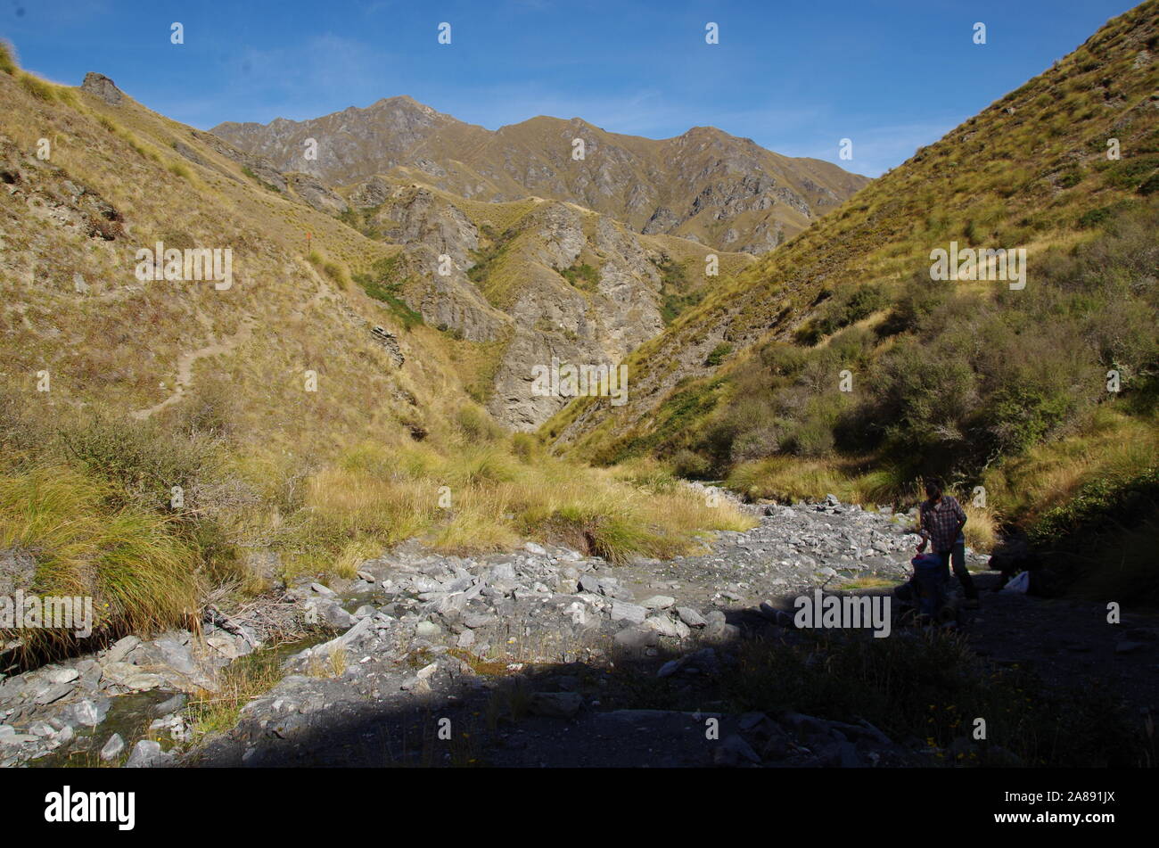 Te Araroa Trail. Motatapu Alpine Track. South Island. New Zealand Stock ...