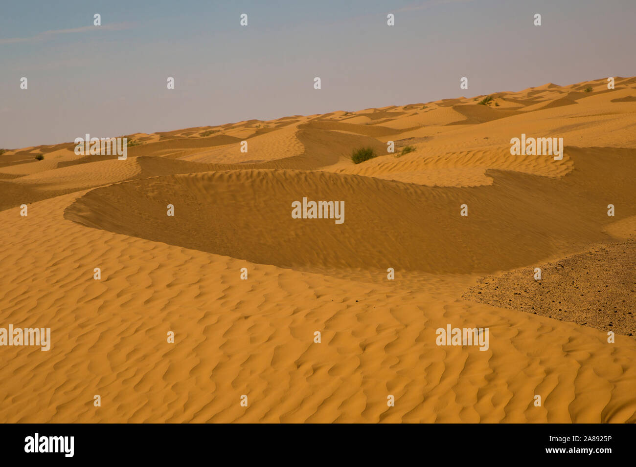 Yellow desert sand hi-res stock photography and images - Alamy
