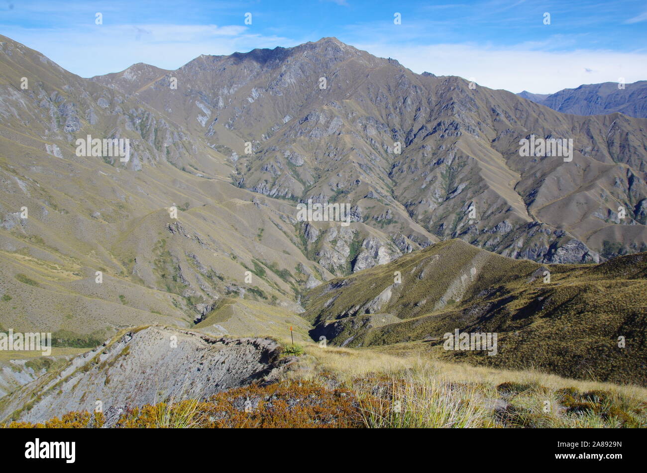 Motatapu alpine track hi-res stock photography and images - Alamy