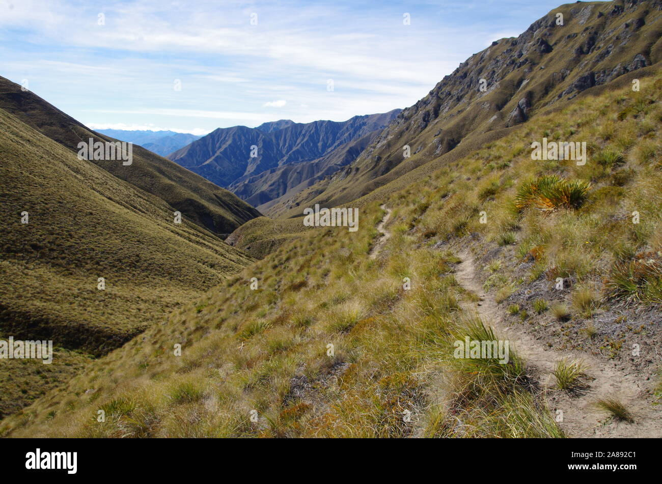 Te Araroa Trail. Motatapu Alpine Track. South Island. New Zealand Stock ...