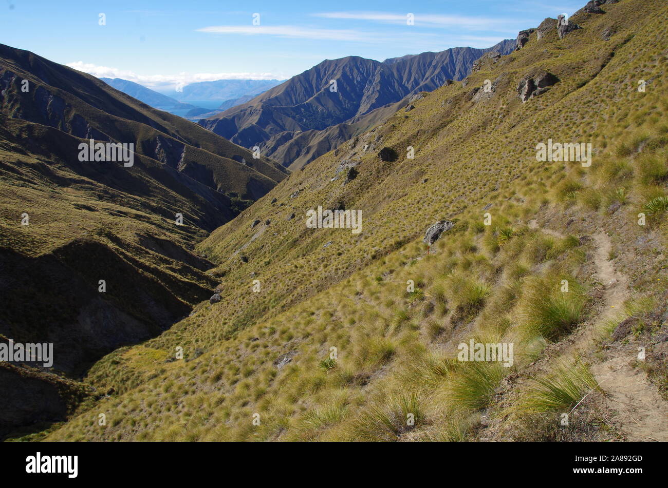 Te Araroa Trail. Motatapu Alpine Track. South Island. New Zealand Stock ...