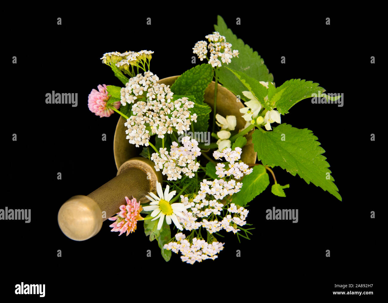 Medicinal herbs in a copper mortar with a pestle Stock Photo - Alamy