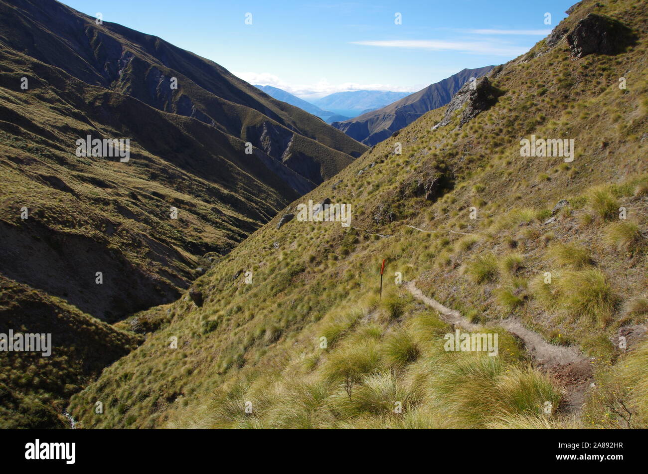 Te Araroa Trail. Motatapu Alpine Track. South Island. New Zealand Stock ...