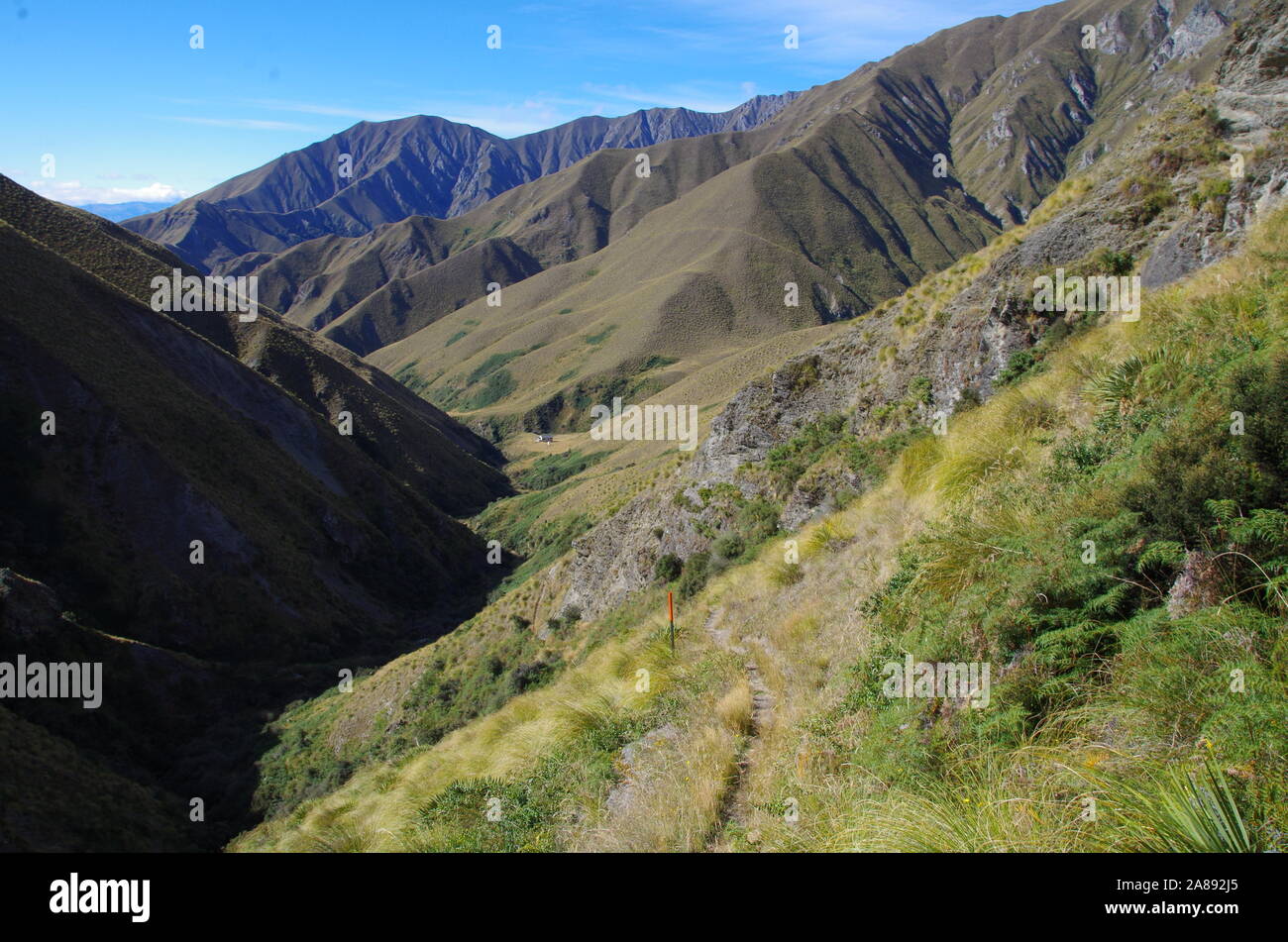 Te Araroa Trail. Motatapu Alpine Track. South Island. New Zealand Stock ...