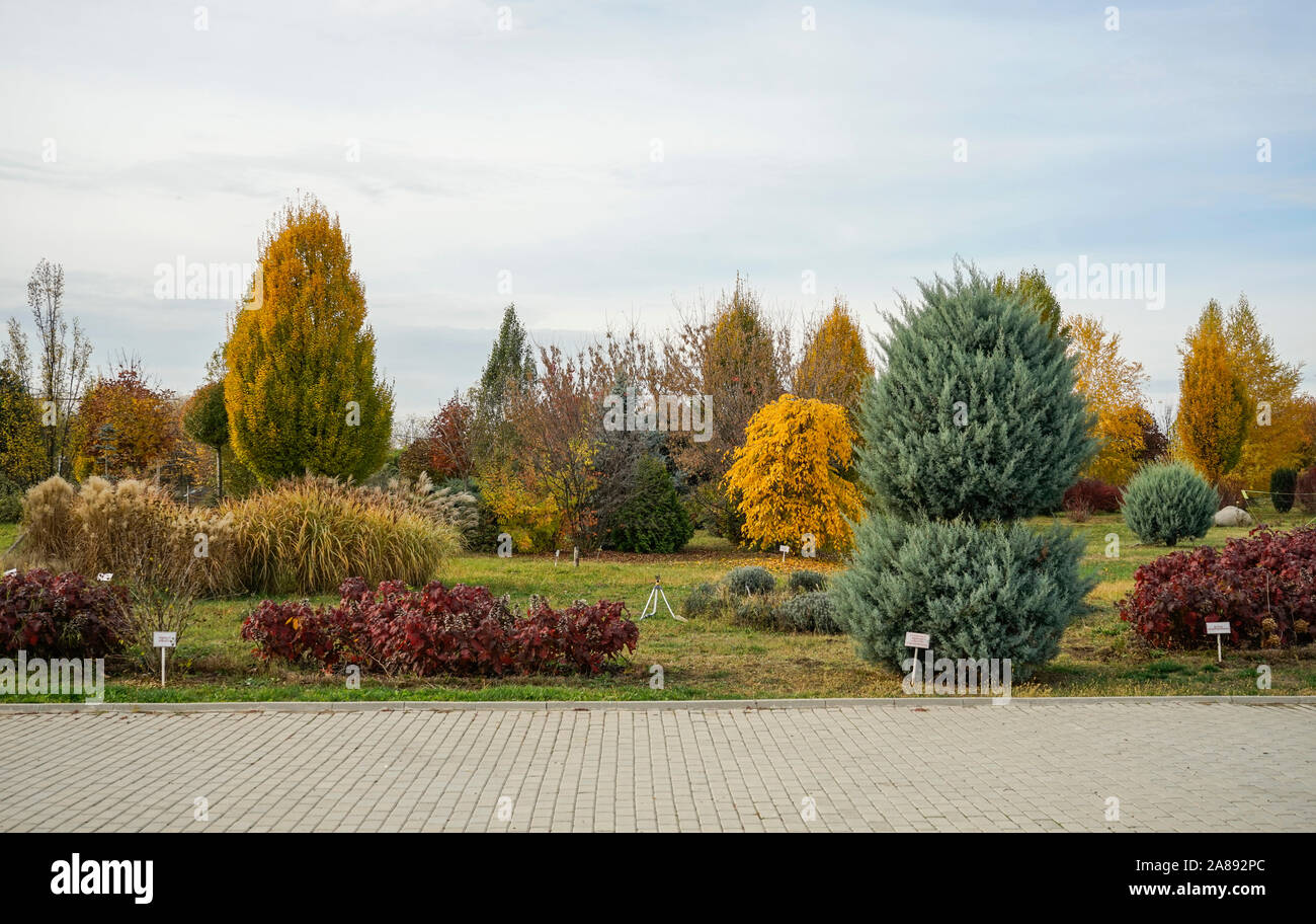Temperate climate species hi-res stock photography and images - Alamy