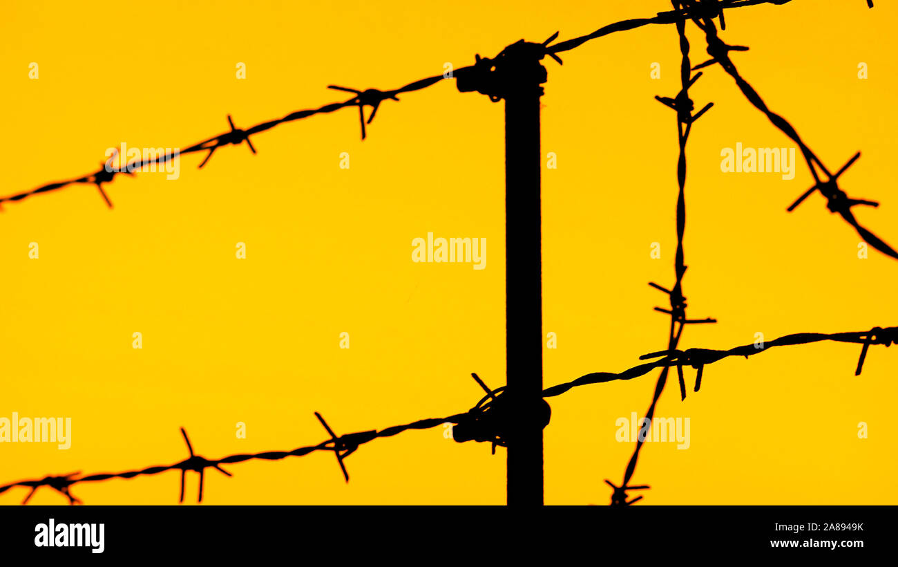 silhouette of a fence of barbed wire on an yellow sky background Stock ...