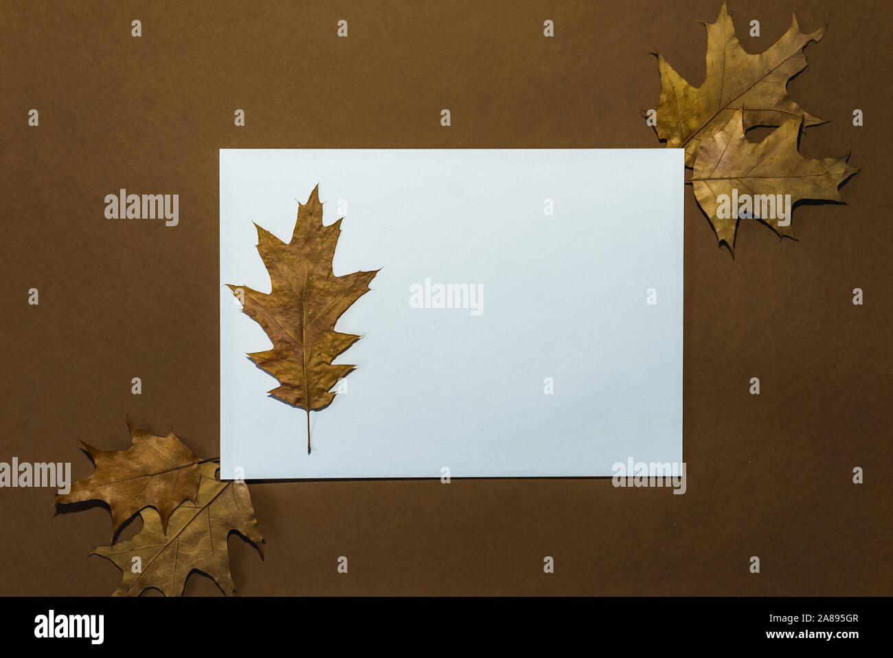abstract autumn paper background with place for your text Stock Photo ...