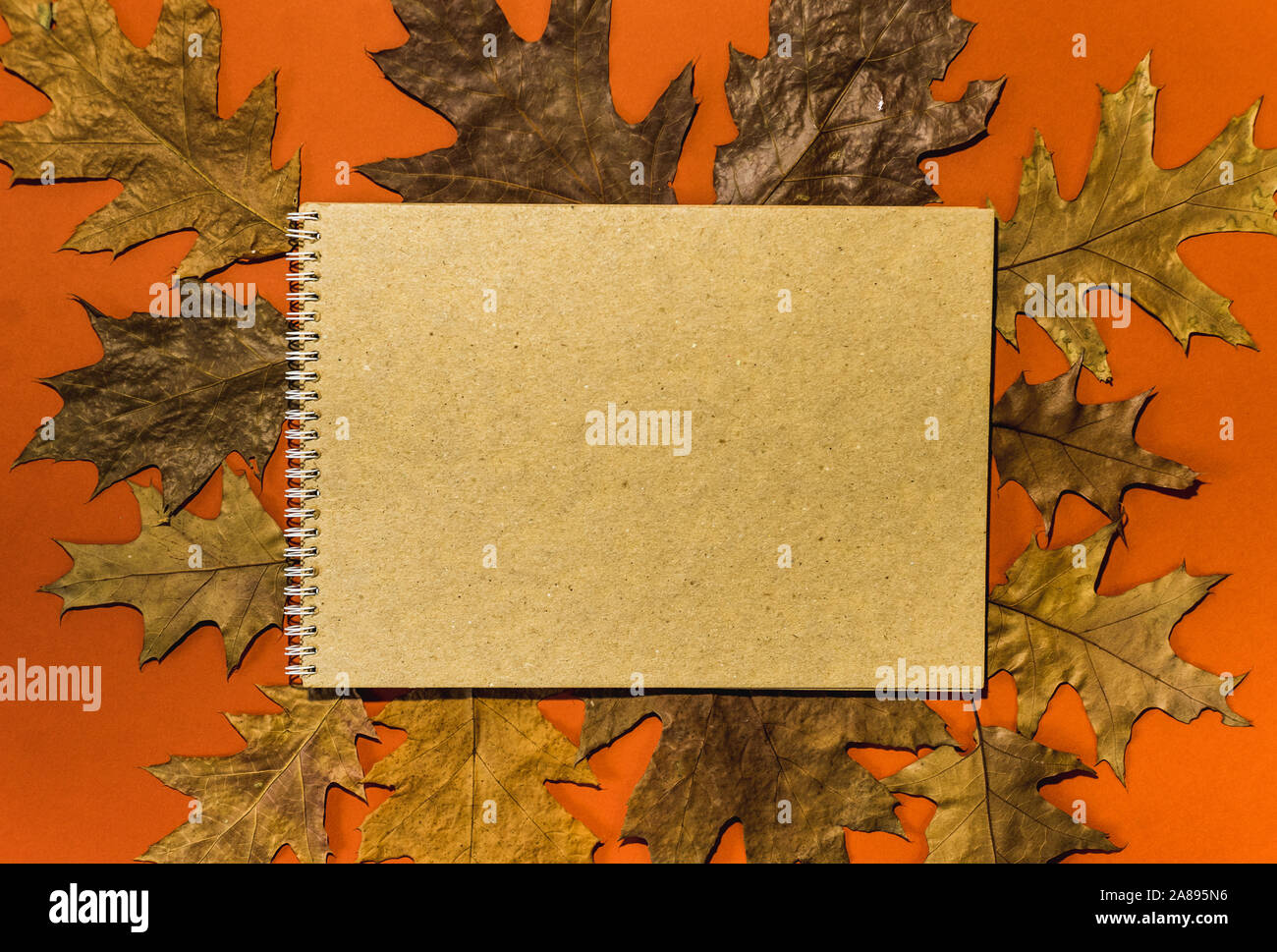 abstract autumn paper background with place for your text Stock Photo ...