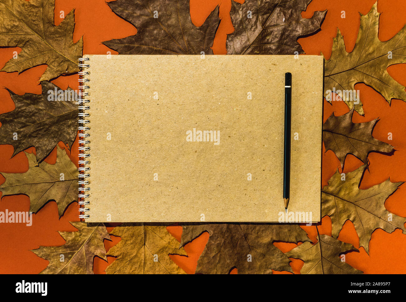 abstract autumn paper background with place for your text Stock Photo ...