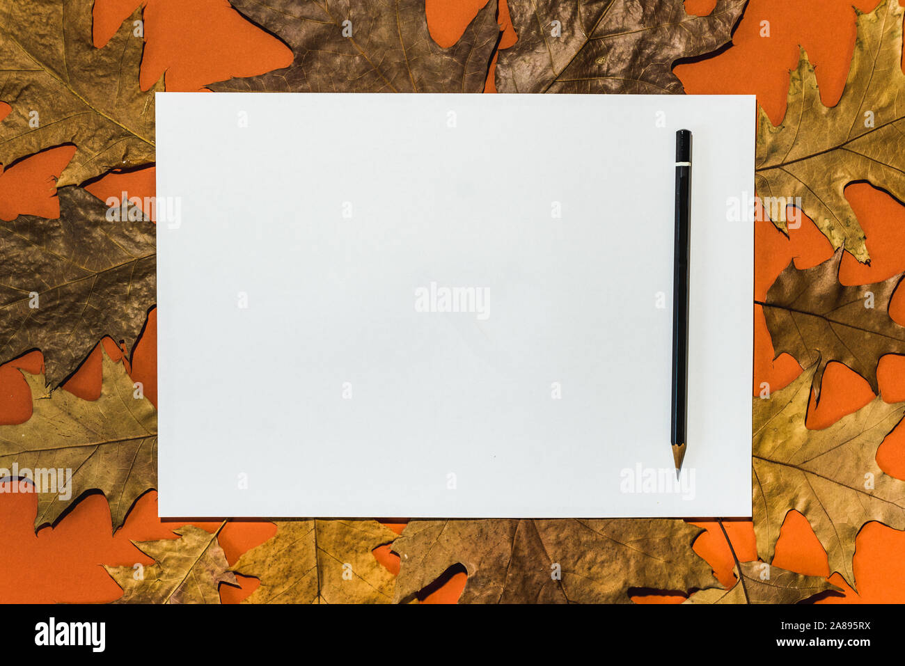 abstract autumn paper background with place for your text Stock Photo ...