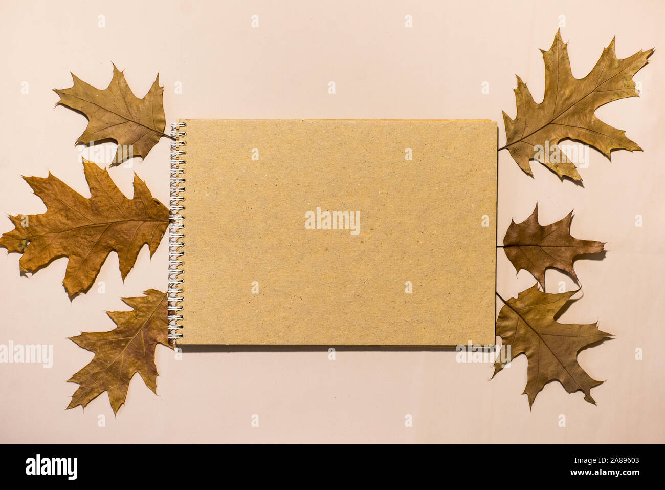 abstract autumn paper background with place for your text Stock Photo ...
