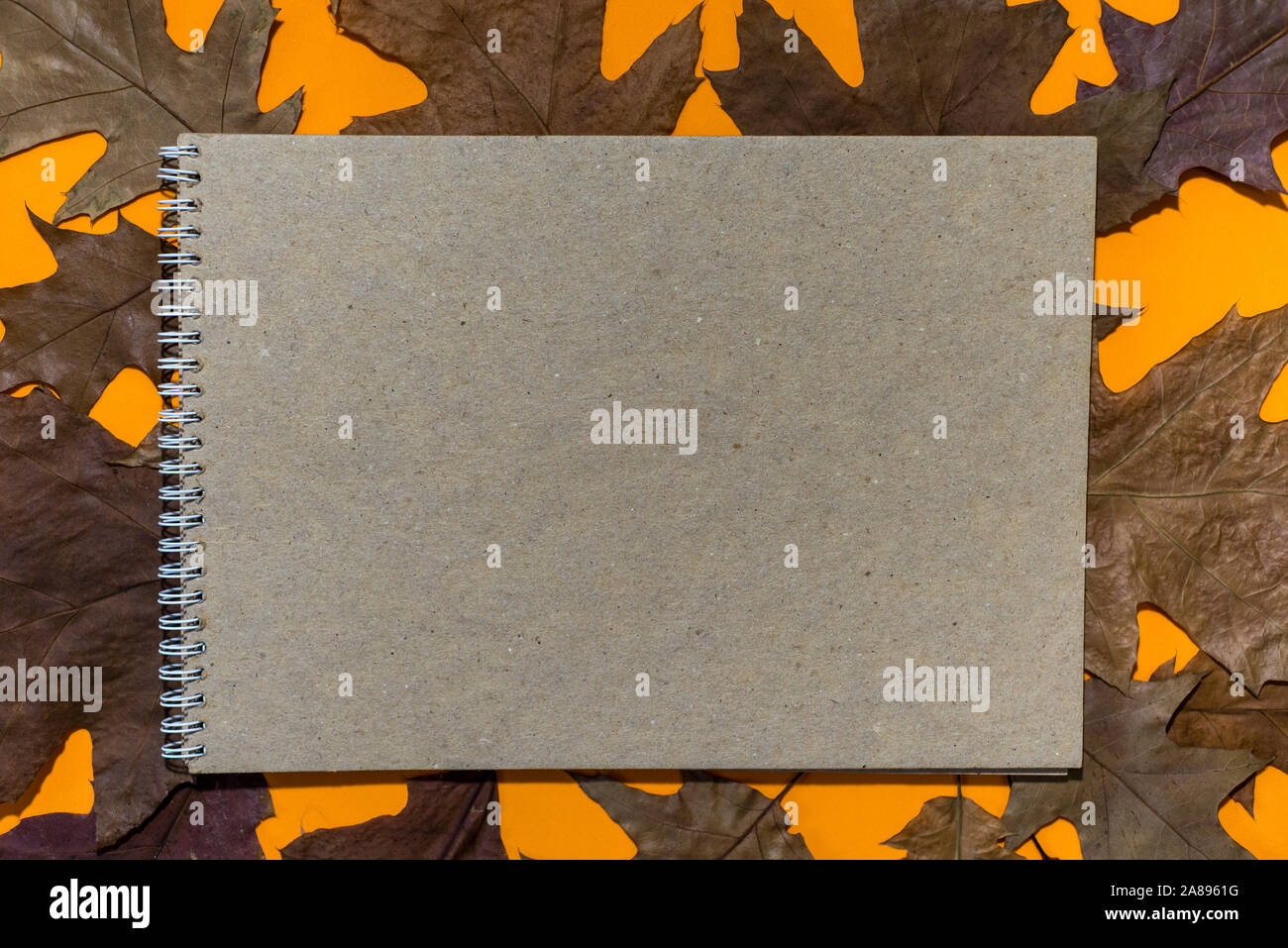 abstract autumn paper background with place for your text Stock Photo ...