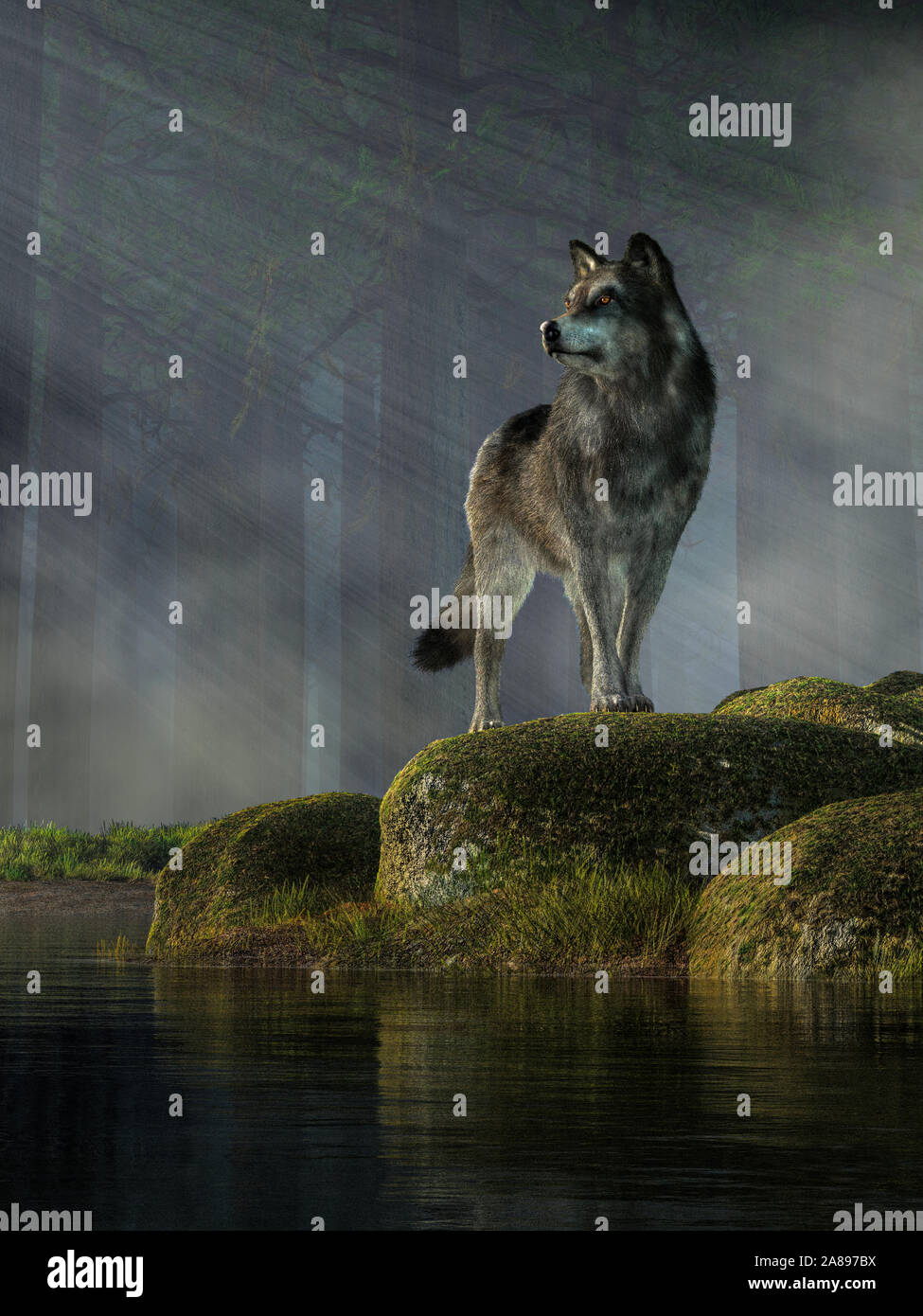 Timber wolf alaska hi-res stock photography and images - Alamy