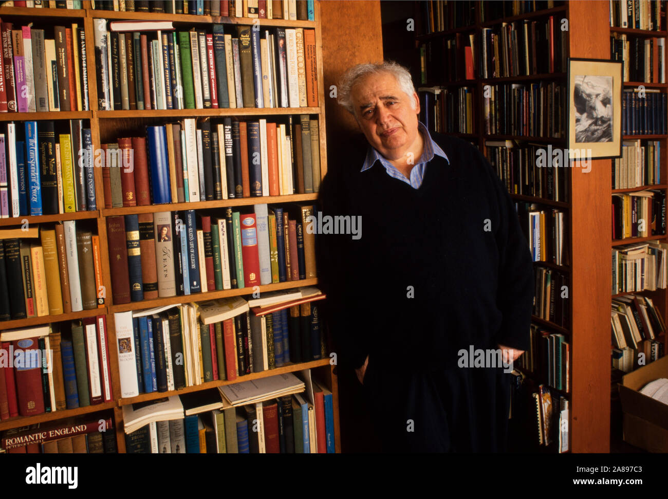 Harold Bloom critic photographed in New Haven CT Stock Photo - Alamy