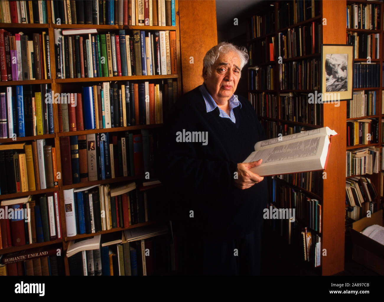 Harold bloom portrait hi-res stock photography and images - Alamy