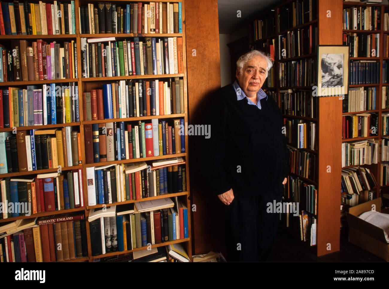 Harold Bloom critic photographed in New Haven CT Stock Photo - Alamy