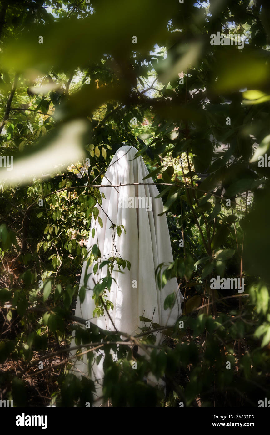 Color ghost hi-res stock photography and images - Alamy