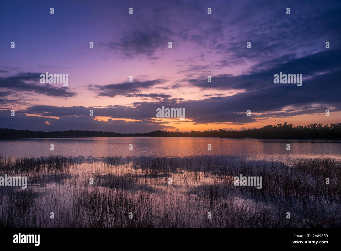 Everglades national park sky hi-res stock photography and images - Alamy