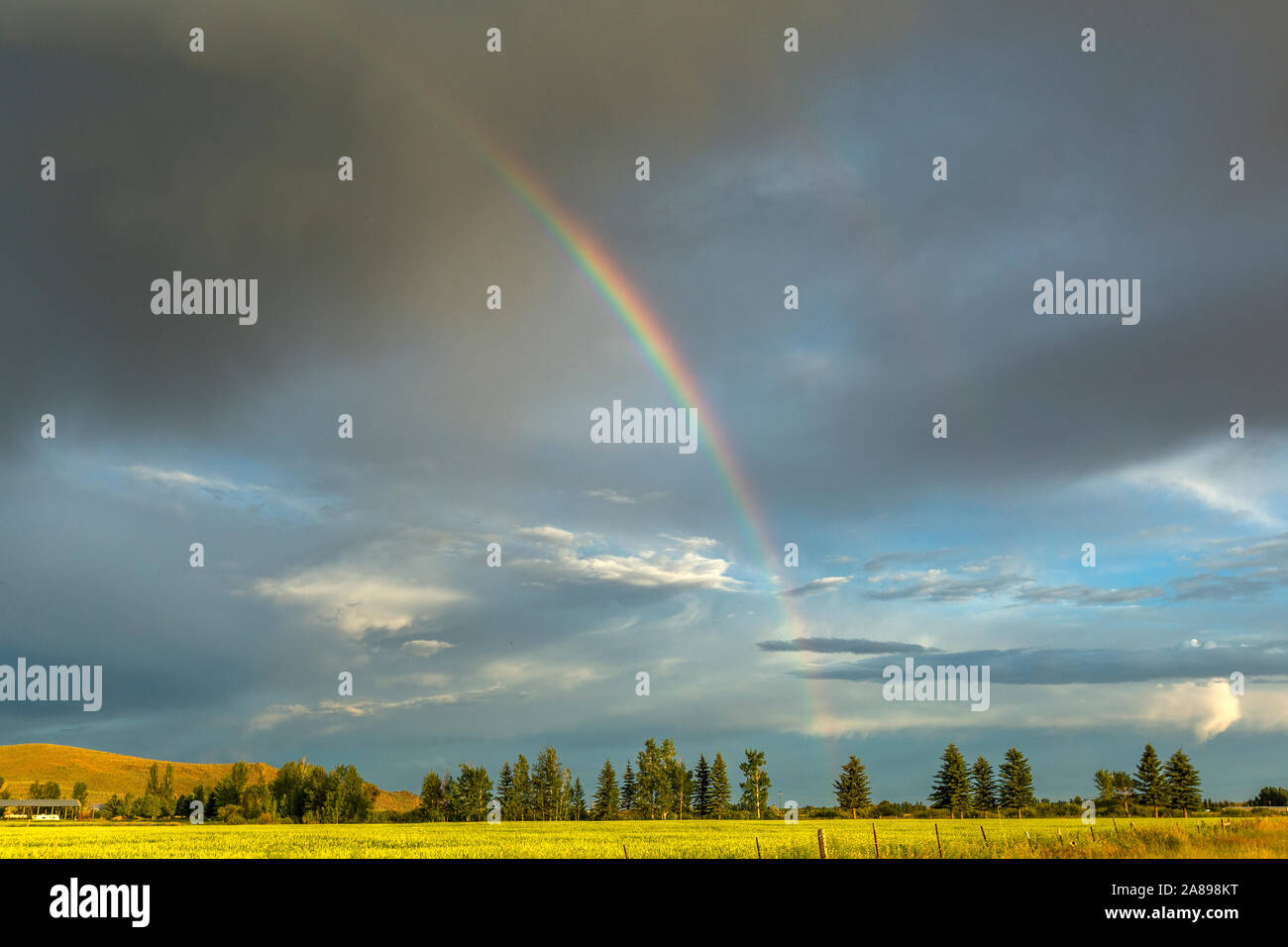 Rainbow over field in Picabo, Idaho, USA Stock Photo - Alamy