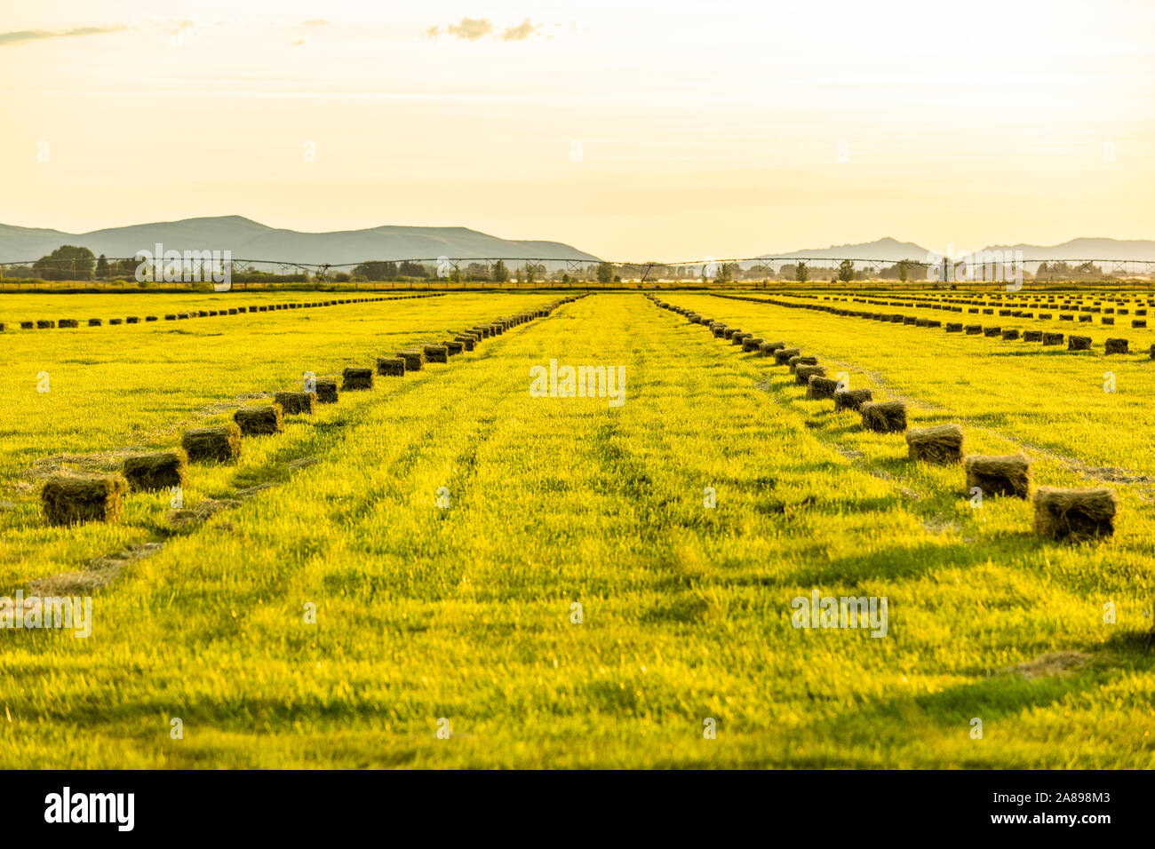 Cloud rows hi-res stock photography and images - Alamy