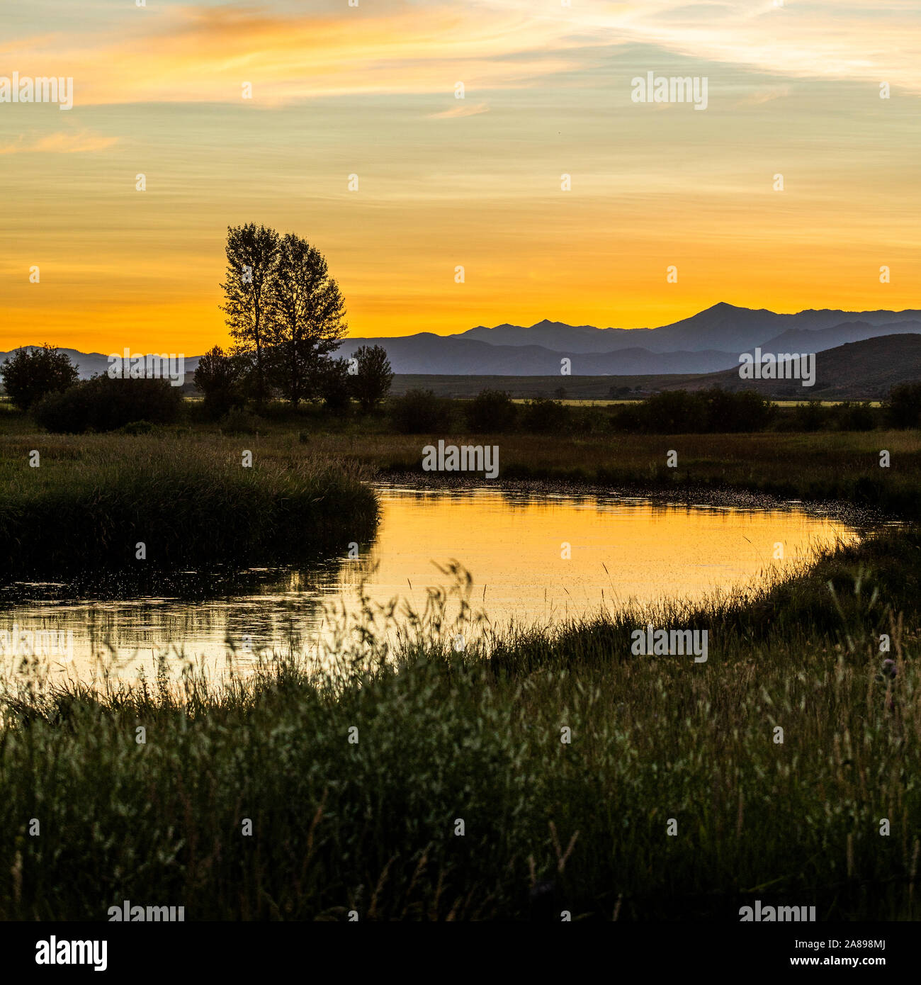 Picabo hi-res stock photography and images - Alamy