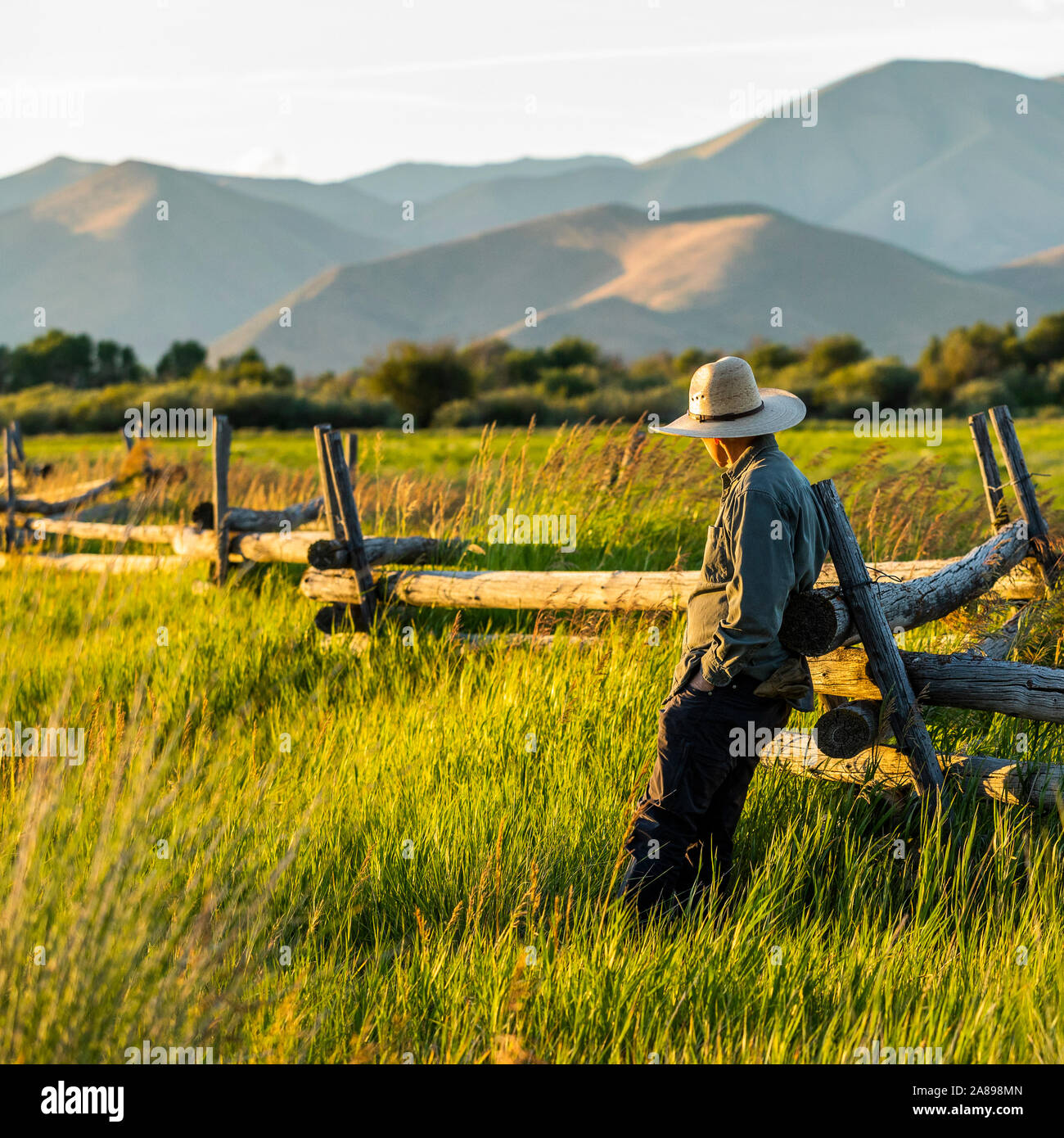 Leaning on fence hi-res stock photography and images - Alamy