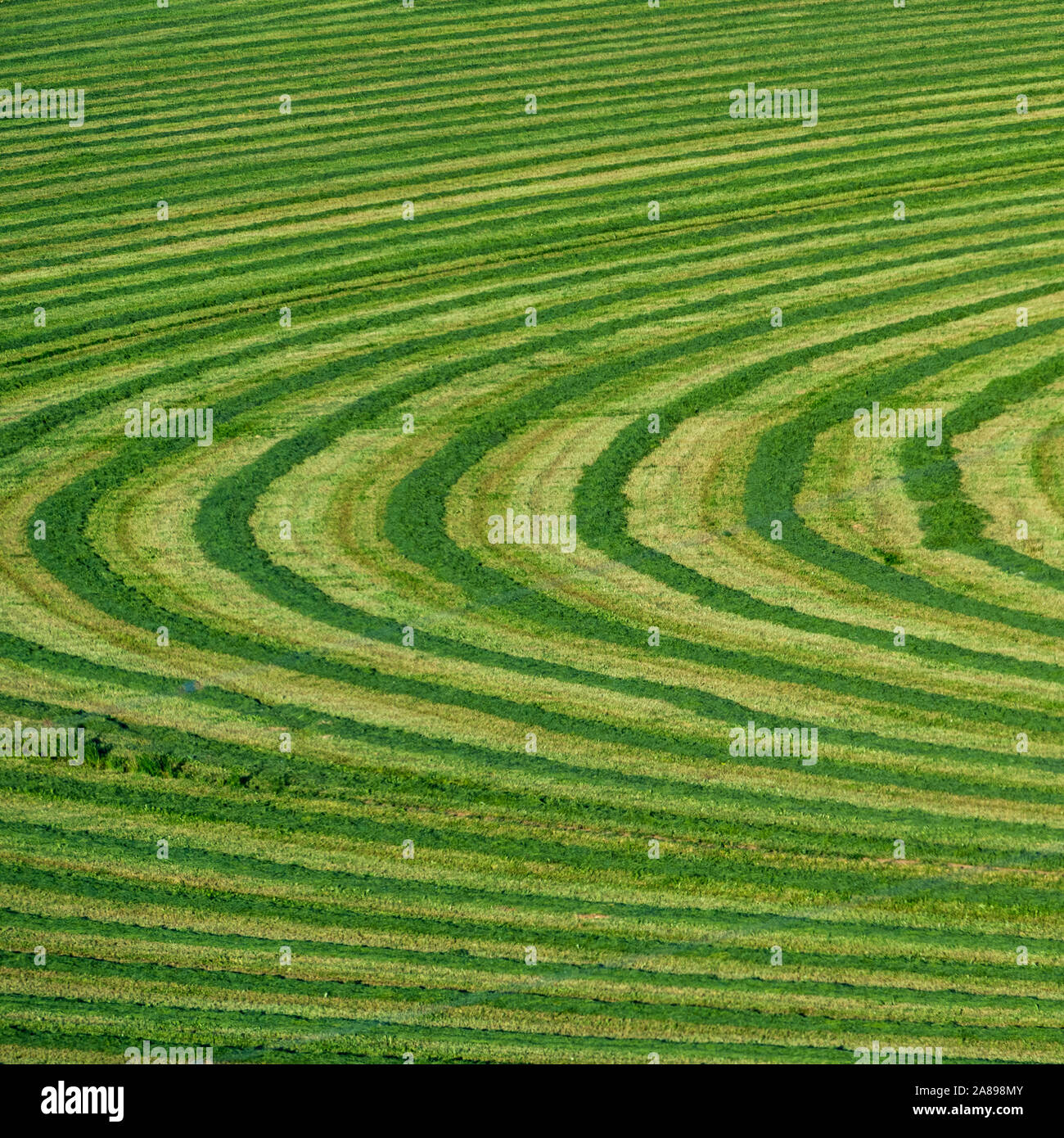 Curved field hi-res stock photography and images - Alamy
