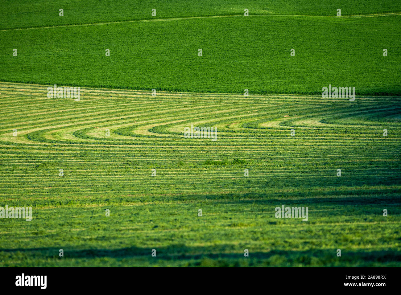 Field cut in curved shape in Picabo, Idaho, USA Stock Photo - Alamy