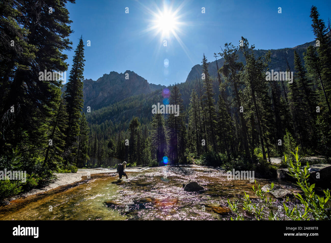Woman wading through river hi-res stock photography and images - Alamy