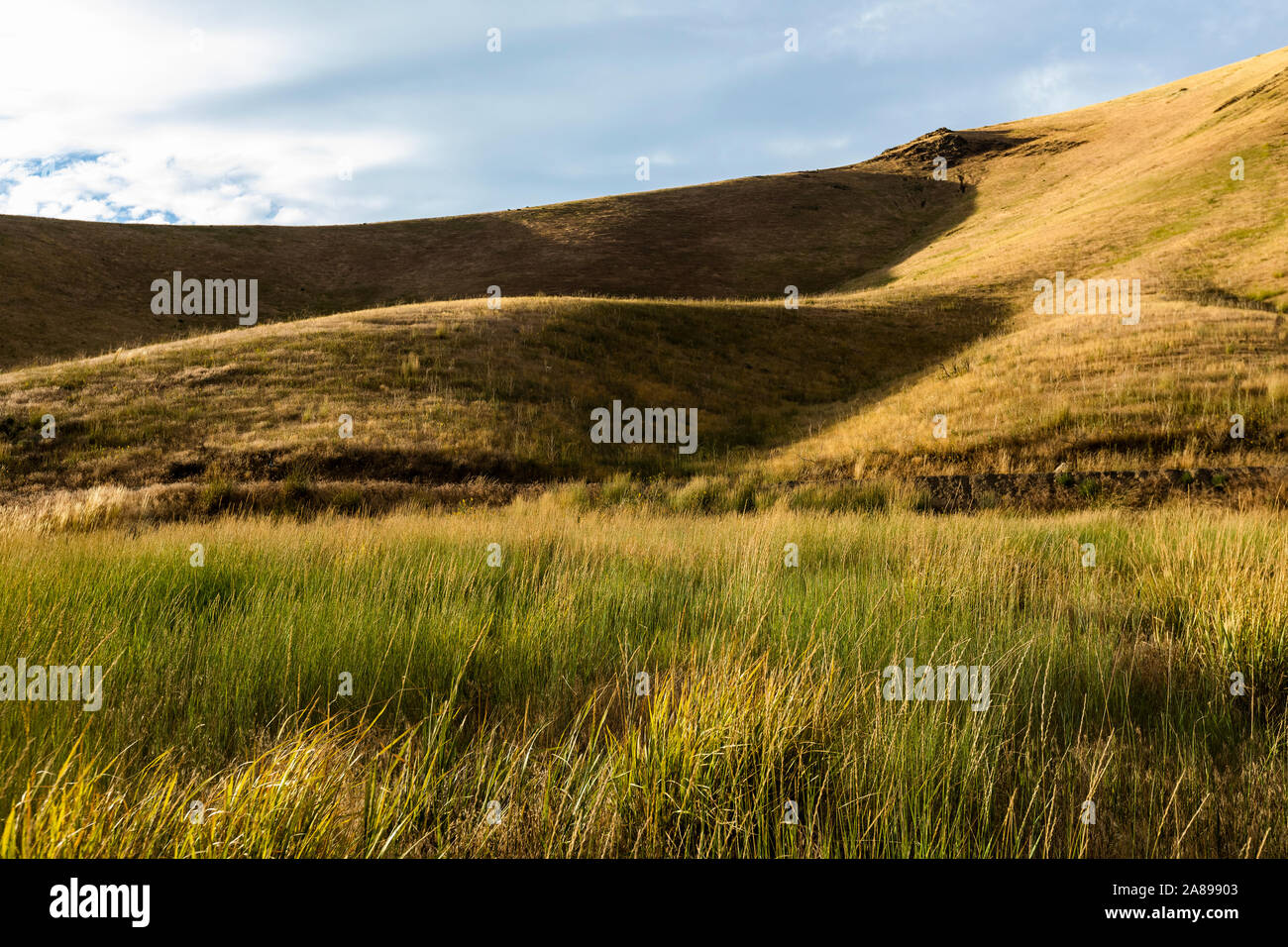 Bellevue america hi-res stock photography and images - Alamy