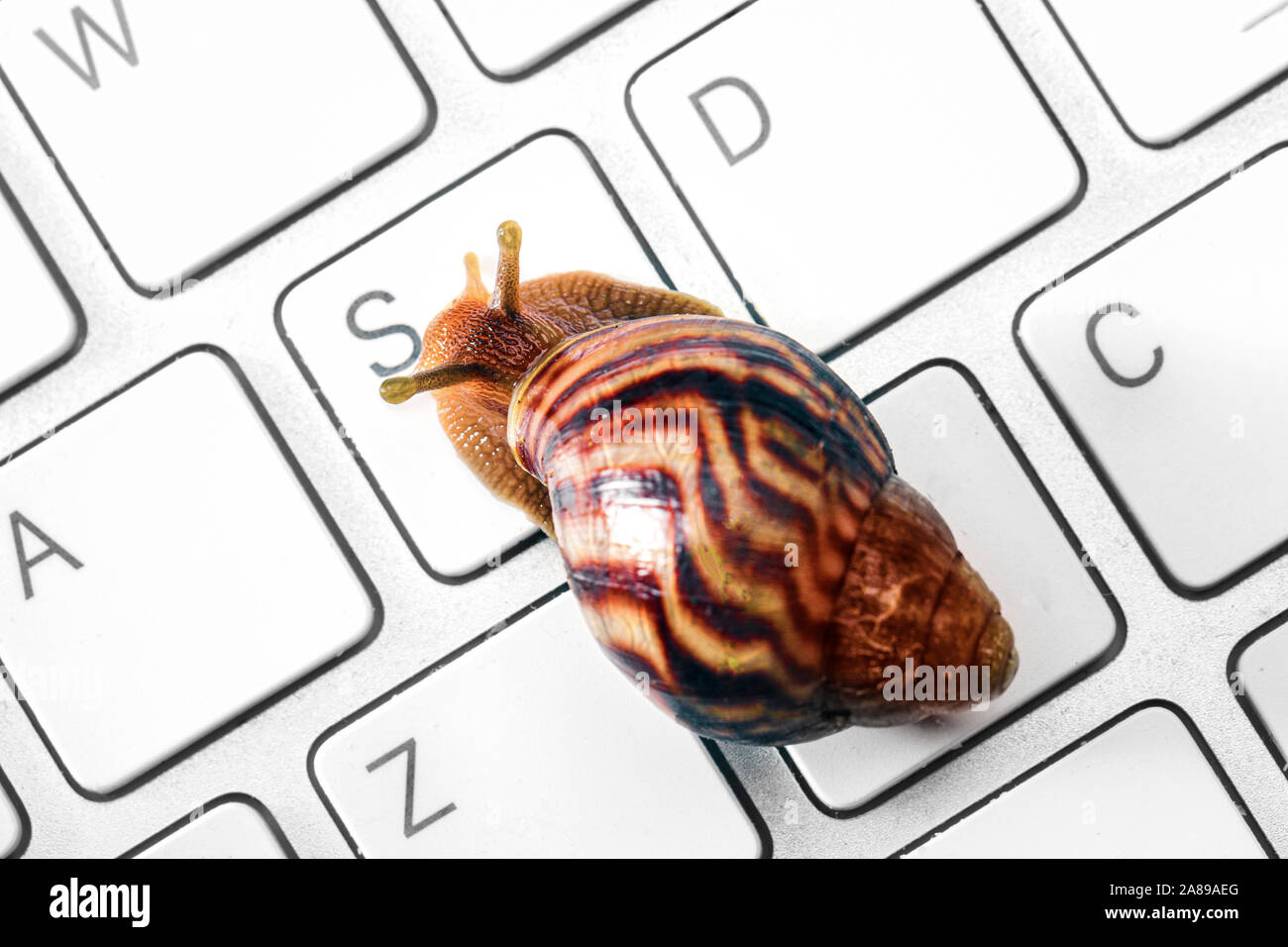 Data transmission computer hi-res stock photography and images - Alamy