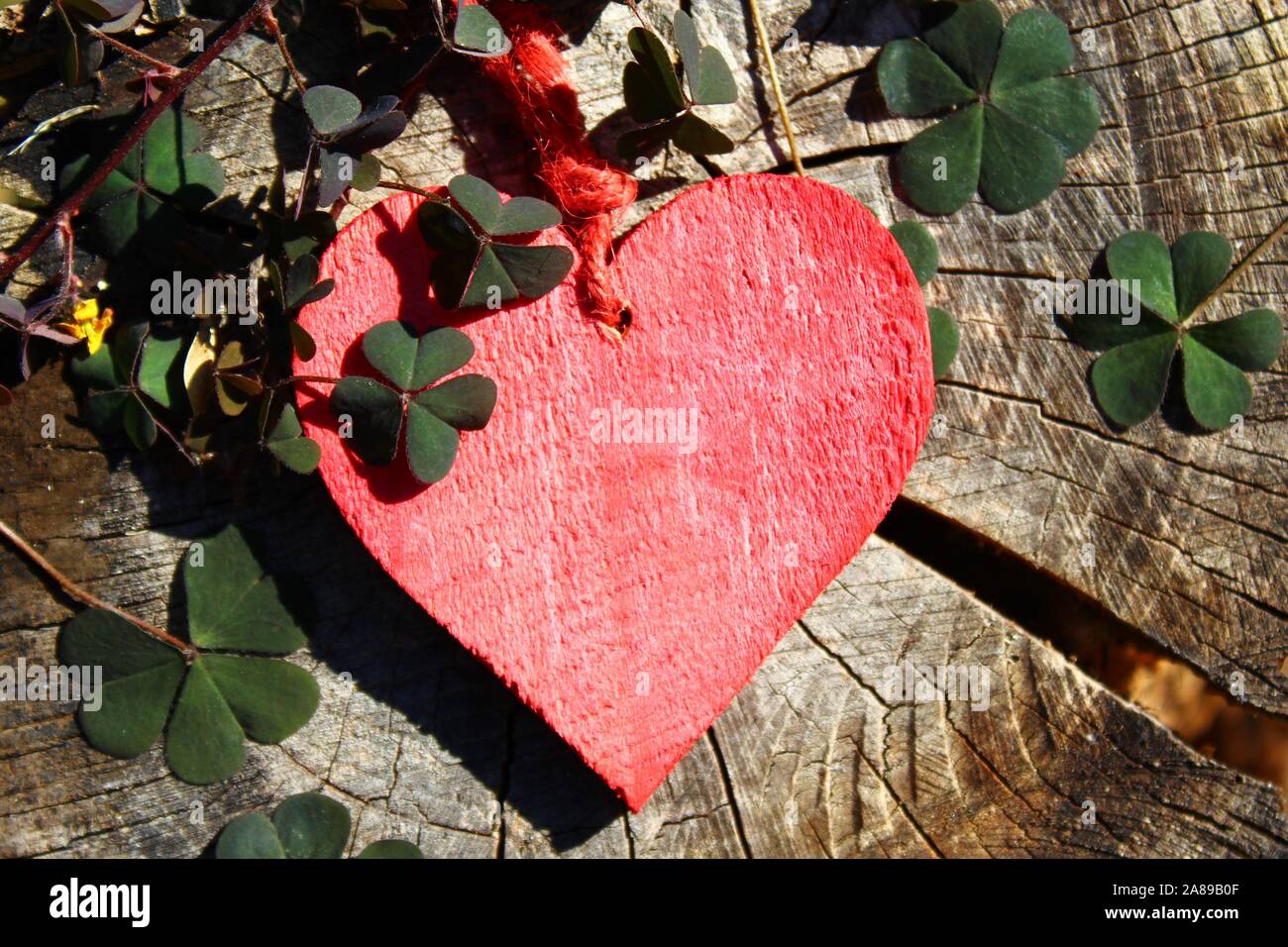 The picture sows a red heart on wooden ground Stock Photo - Alamy