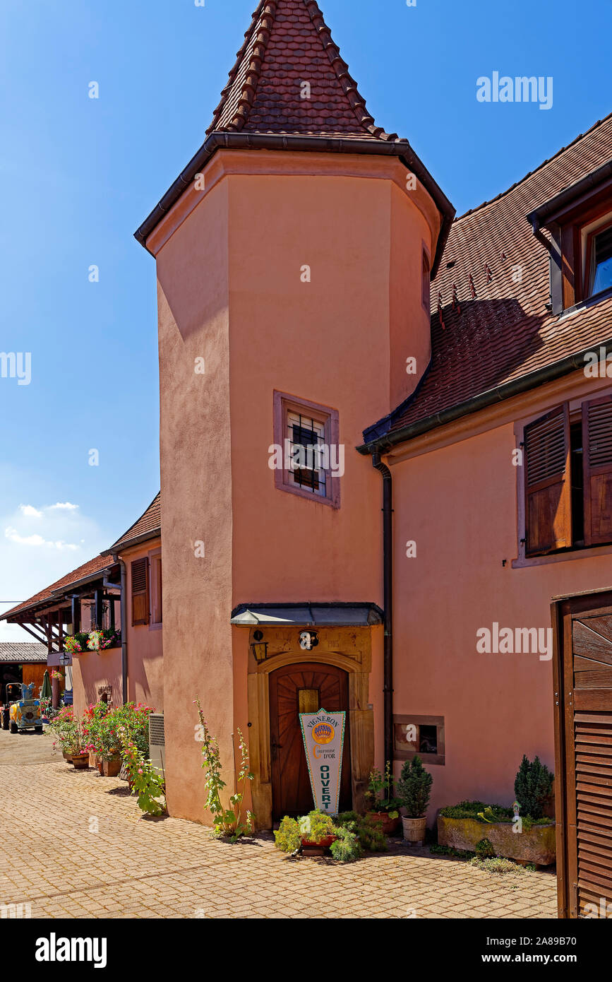 General Fritsch High Resolution Stock Photography and Images - Alamy