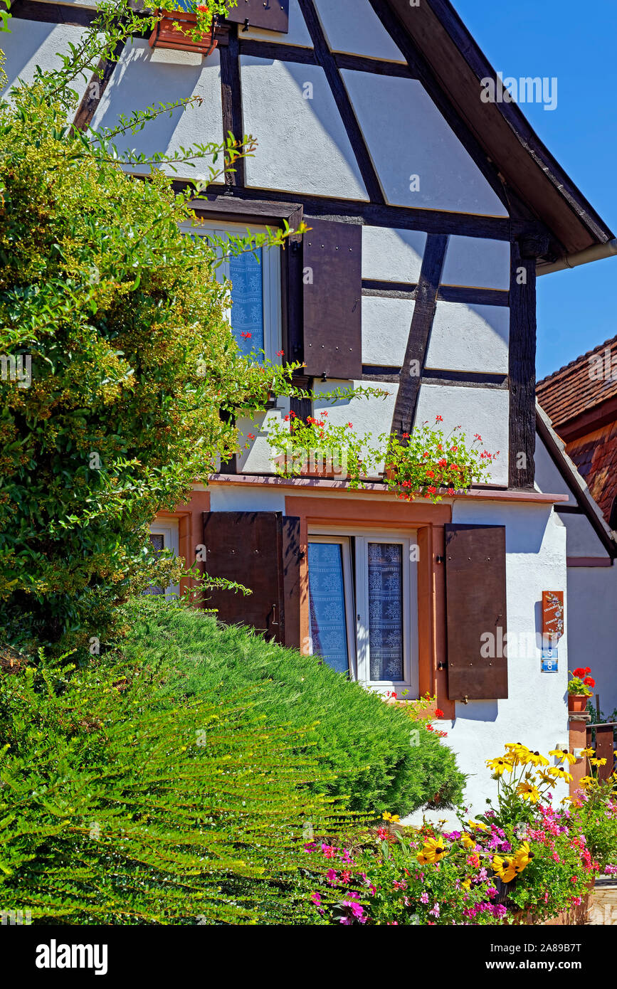 Hauserfr hi-res stock photography and images - Alamy