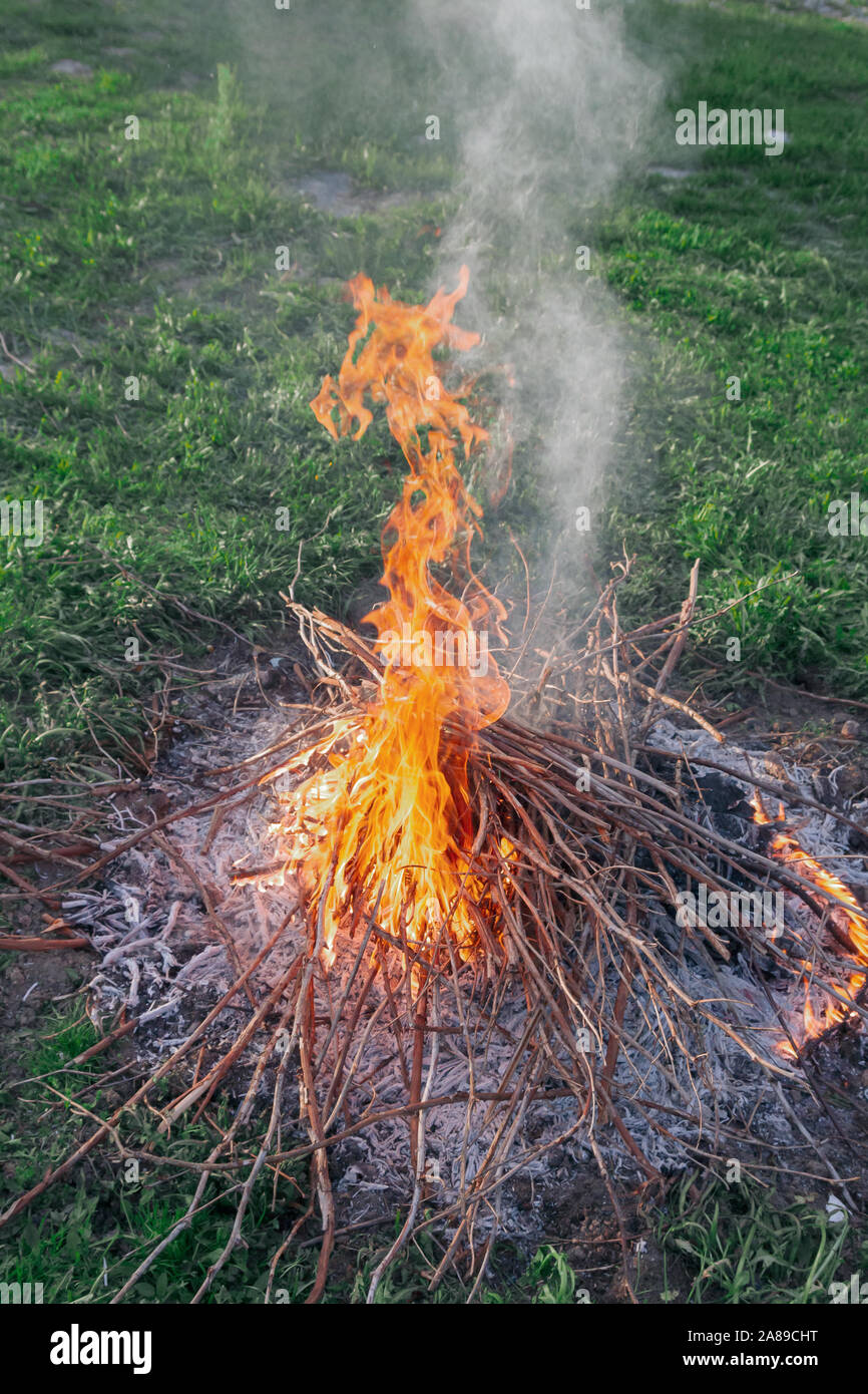 Fire of dry twigs on the green grass Stock Photo - Alamy