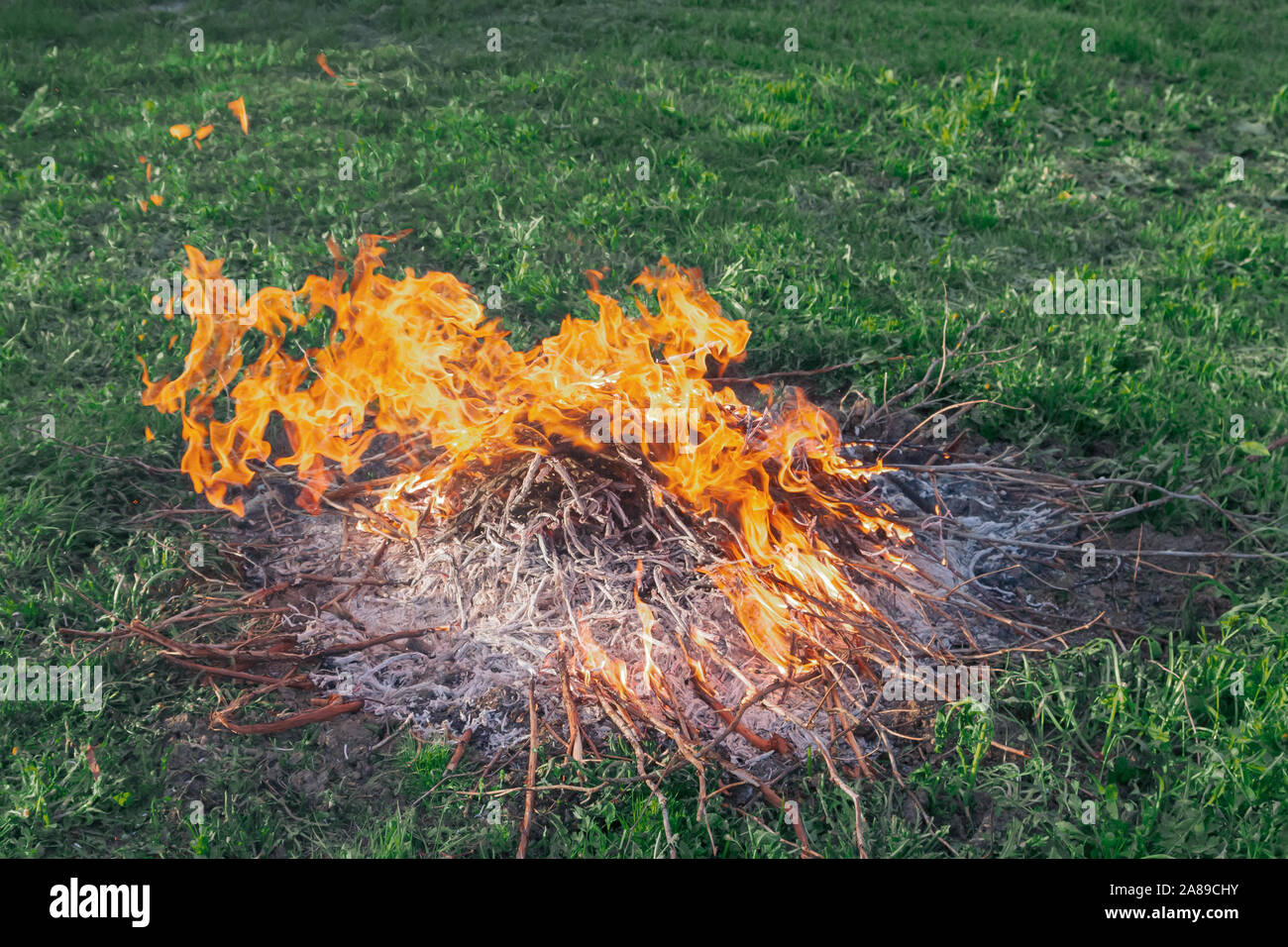 Fire of dry twigs on the green grass Stock Photo - Alamy