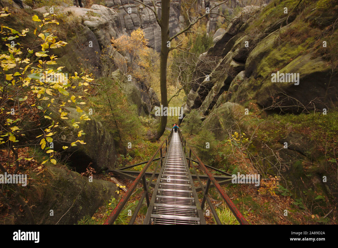 Heilige Stiege near Schmilka, autumn, Sächsische Schweiz, Germany Stock ...