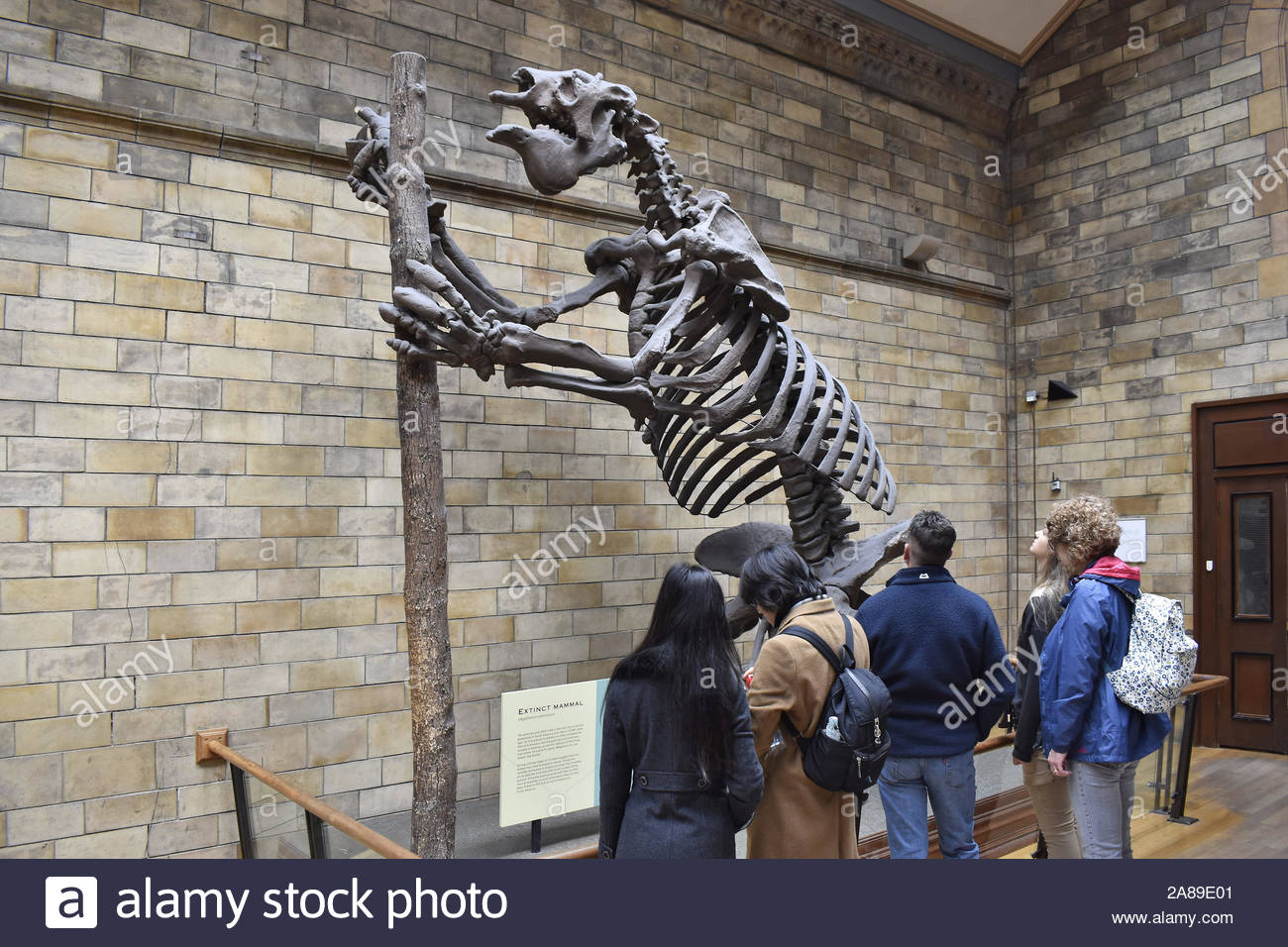 Big Skeleton High Resolution Stock Photography and Images - Alamy