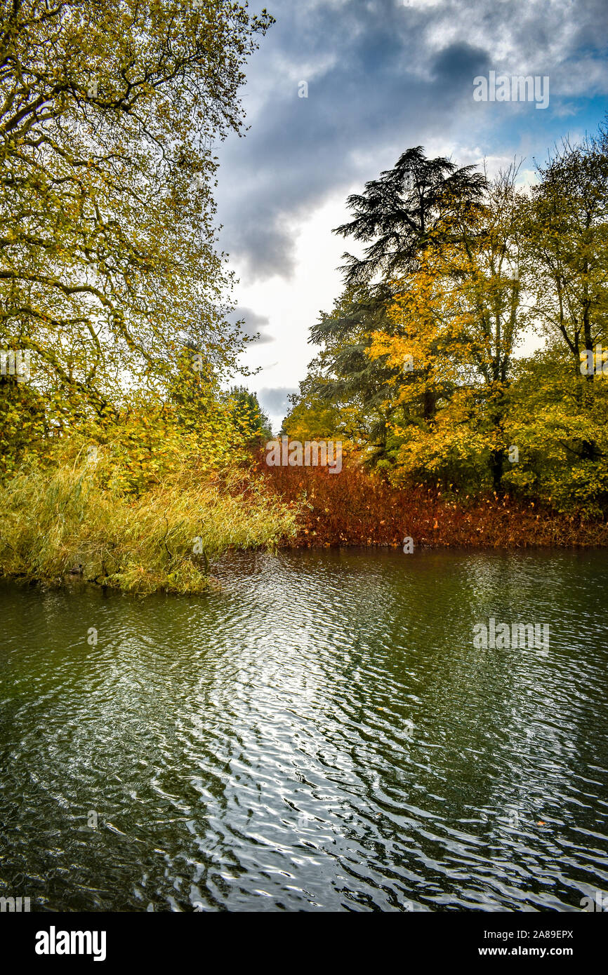 Shades of Autumn Stock Photo - Alamy