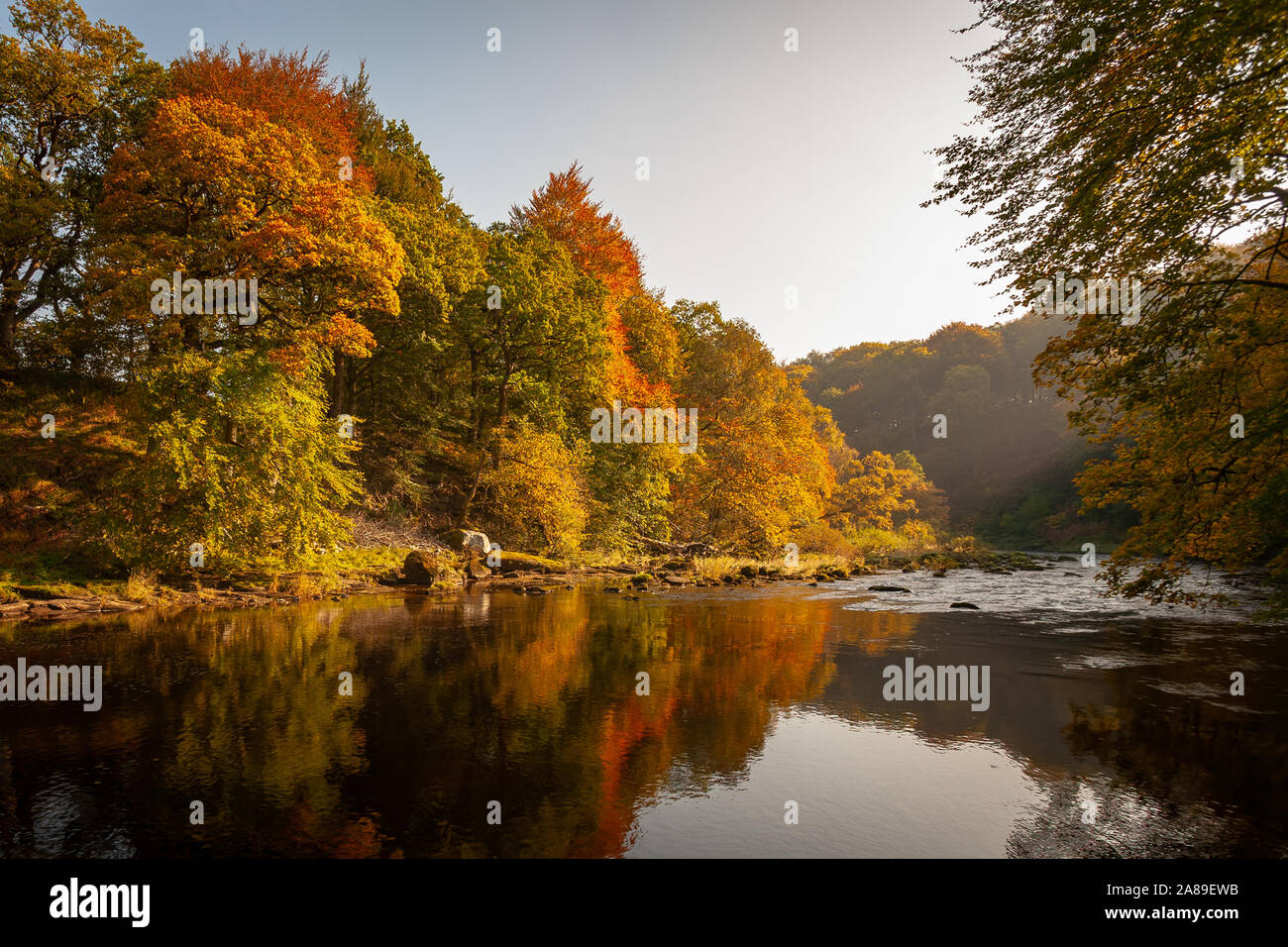 The river Wharfe in autumn Stock Photo - Alamy