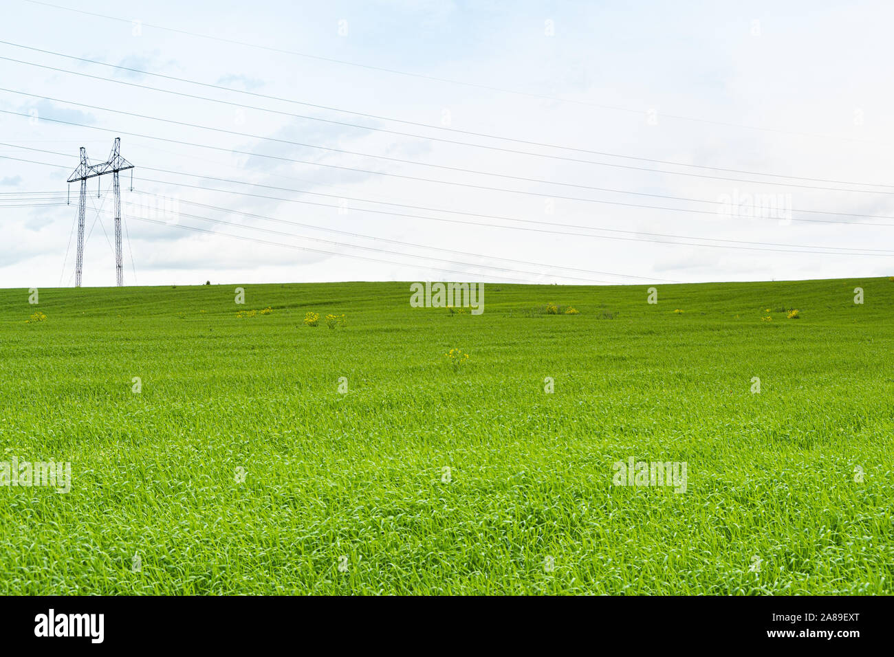 Power lines in green field on summer day. Transportation of electricity ...
