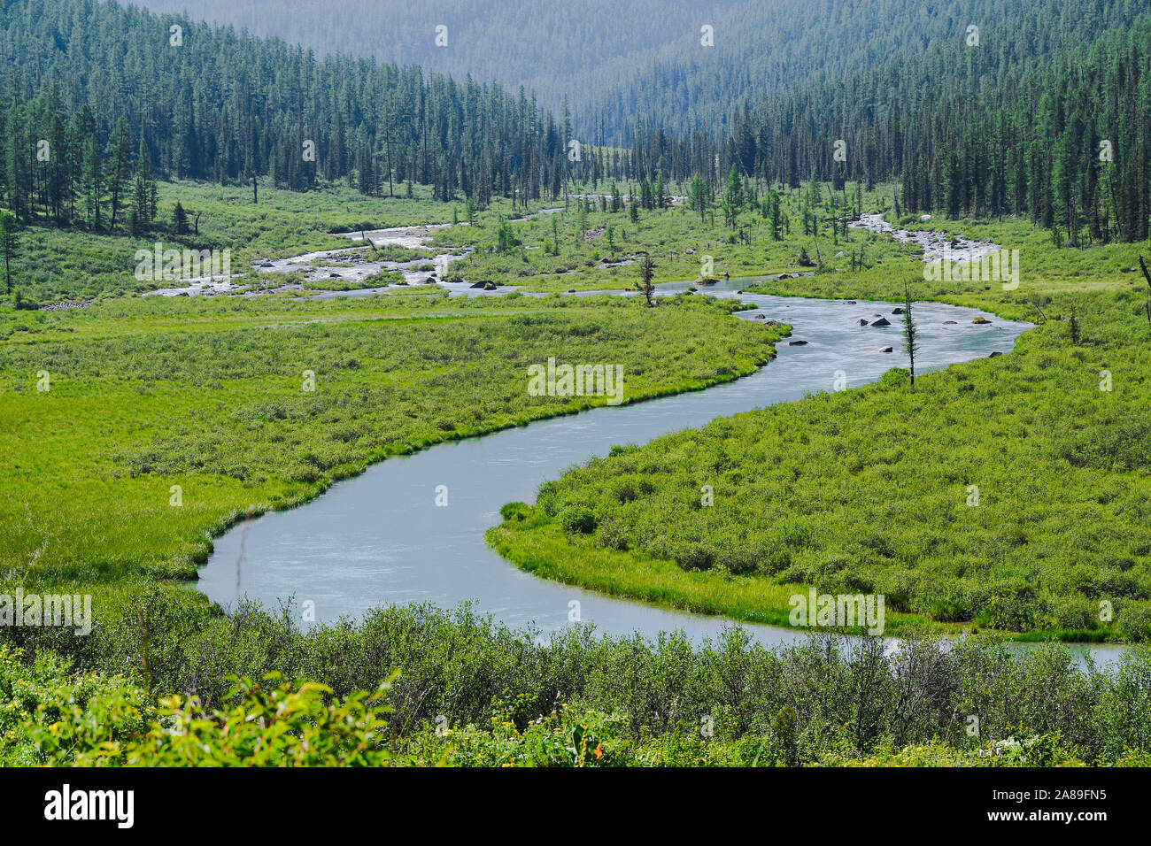 Green ribbon on the river hi-res stock photography and images - Alamy