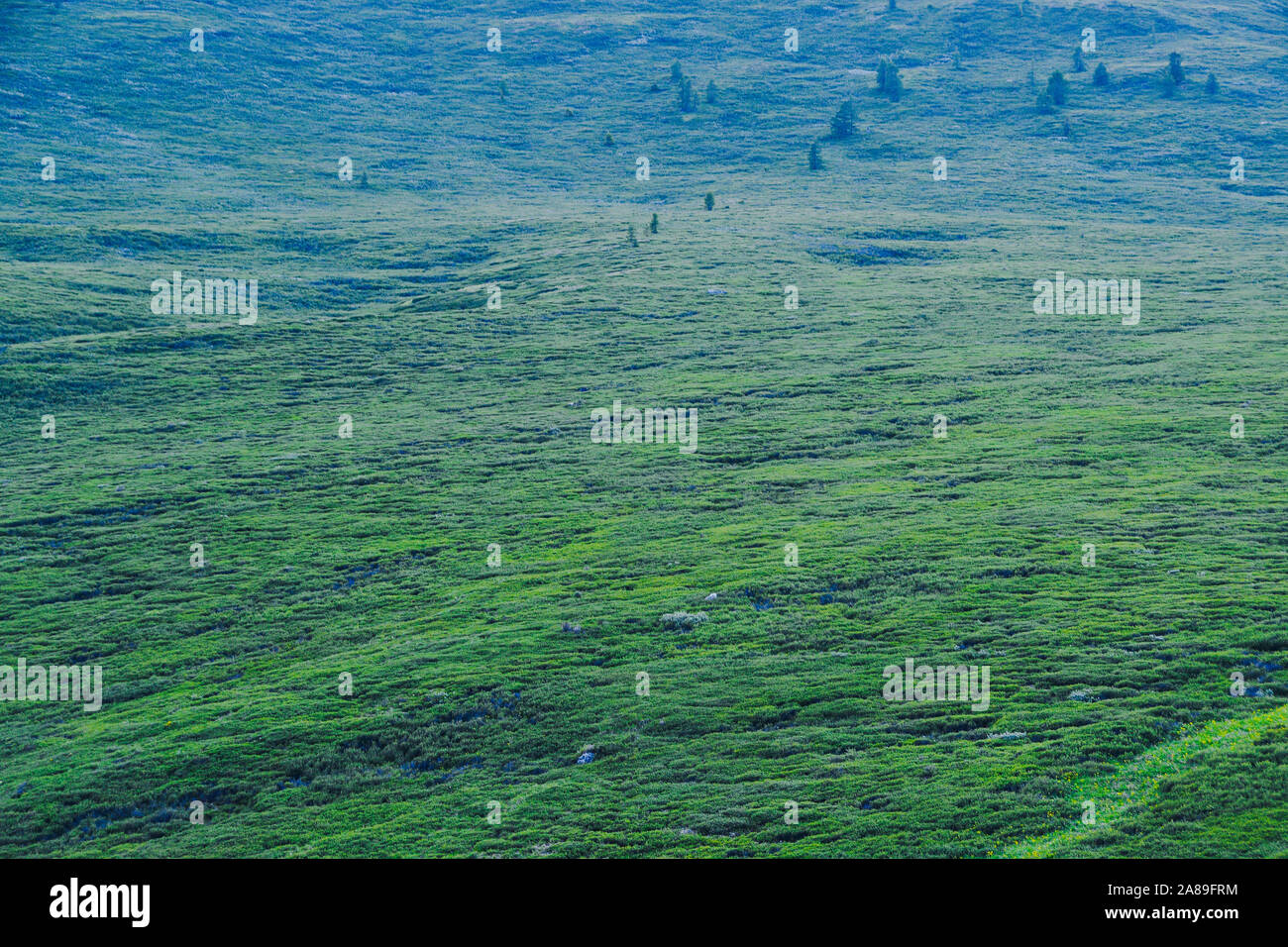 Smooth hills hi-res stock photography and images - Alamy