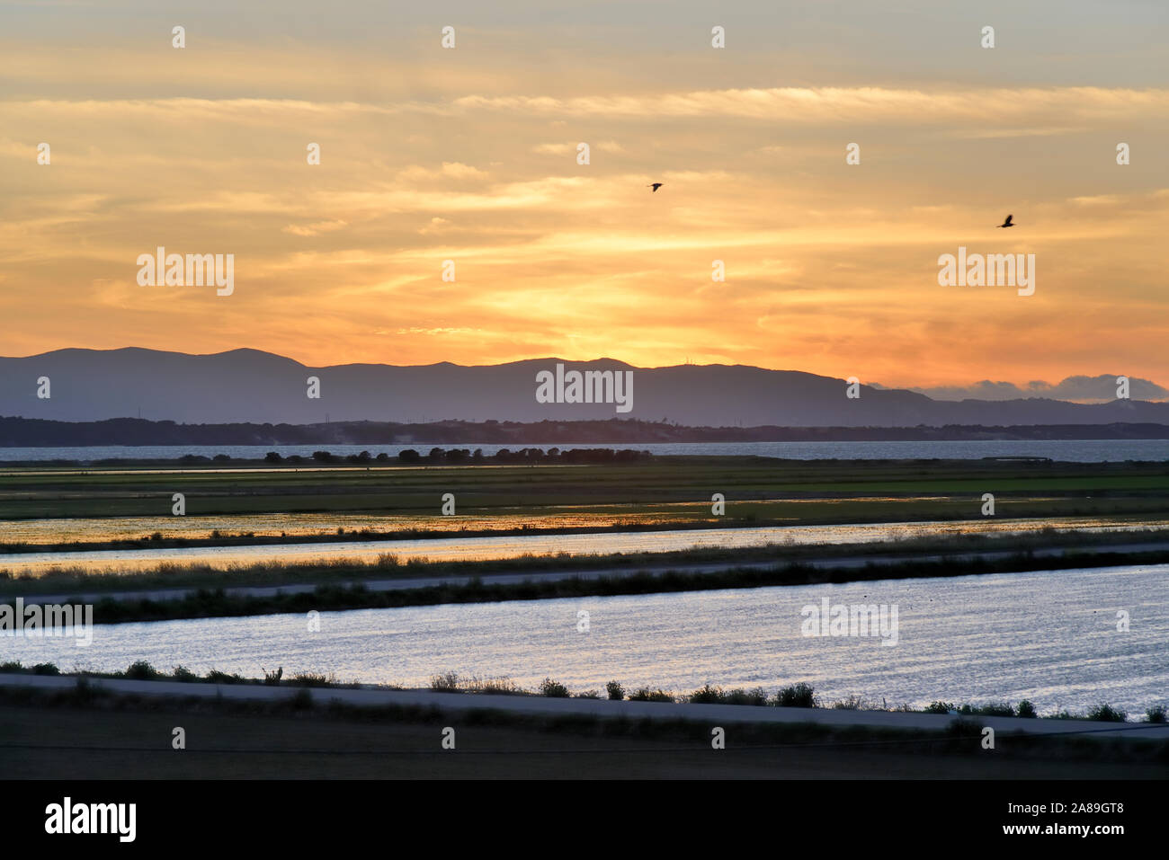 Rice fields of Comporta. On the horizon the Arrábida mountain range ...