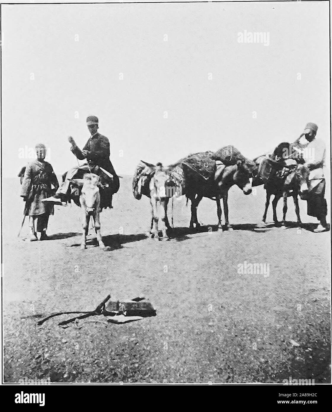 "Persia past and present; a book of travel and research, with more than ...
