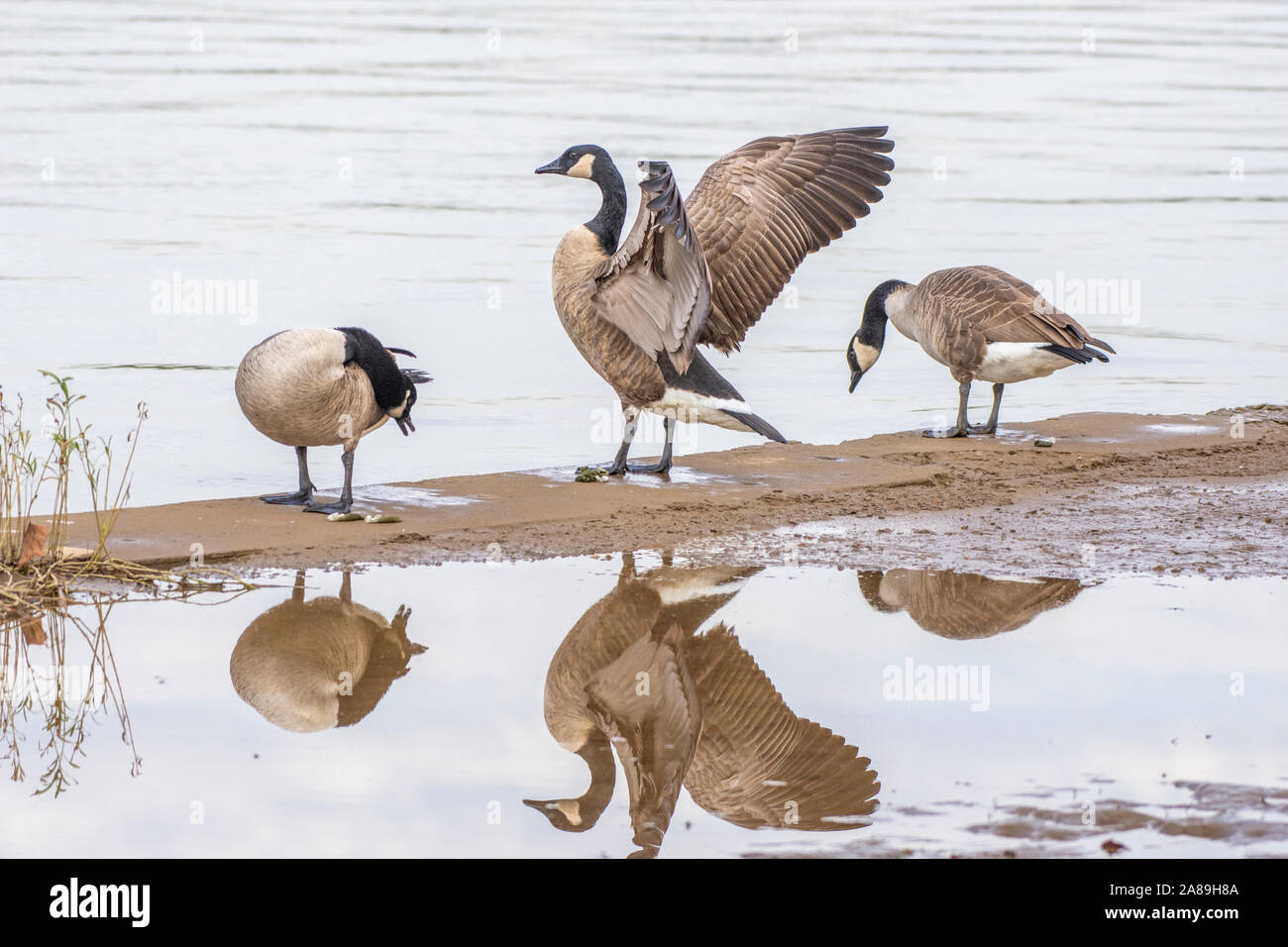 Streatches hi-res stock photography and images - Alamy
